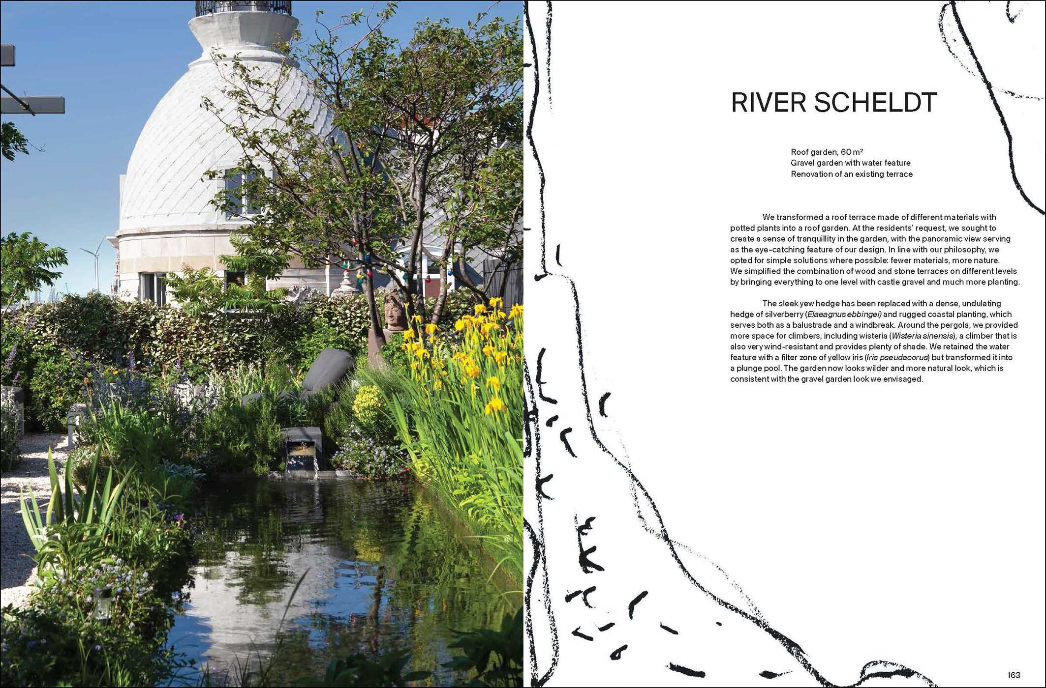 Wild Harmony | Book by Bart Haverkamp, Pieter Croes | Official ...