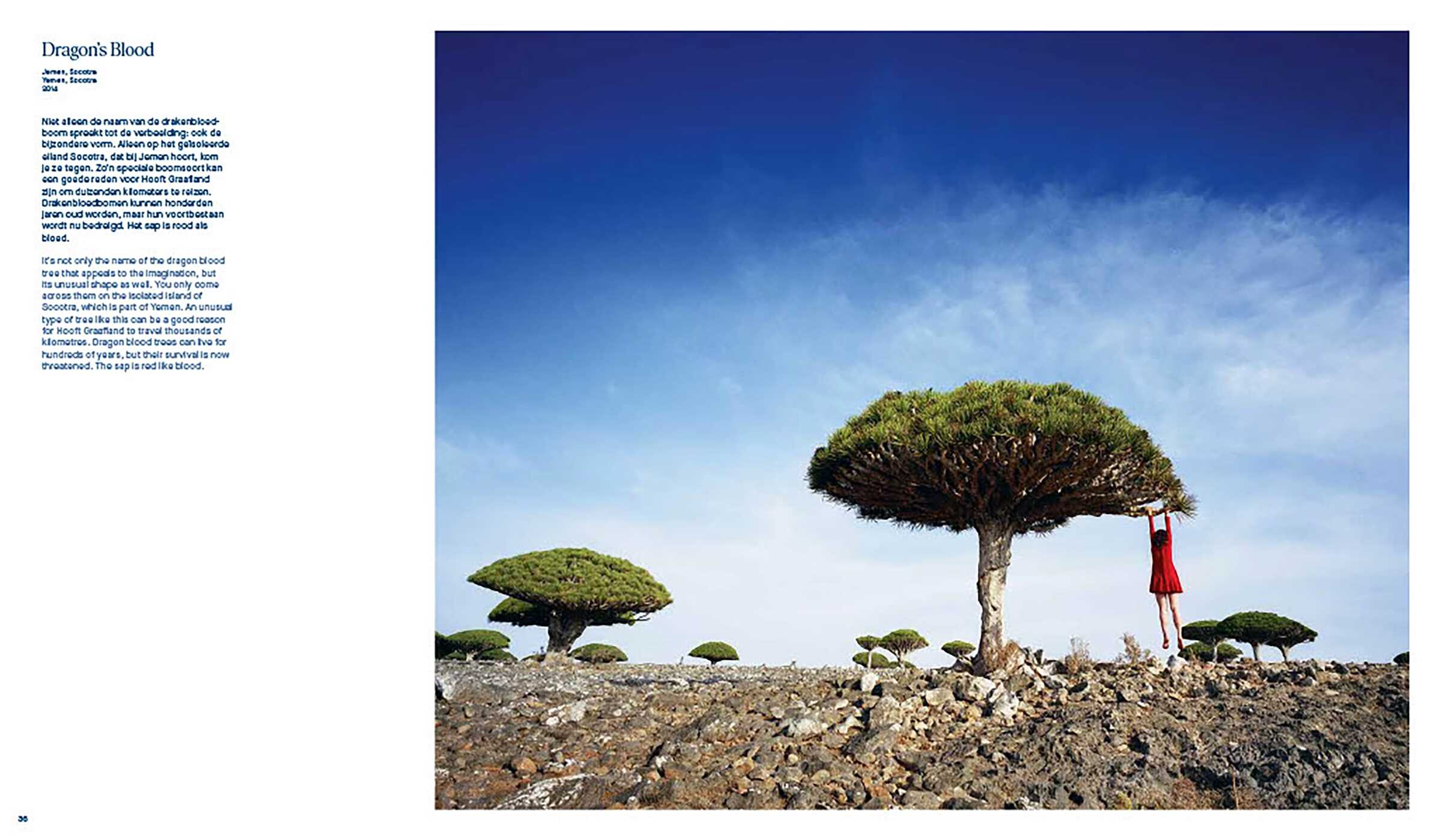 Scarlett Hooft Graafland | Book by Adrienne Quarles Ufford, Cathelijne ...