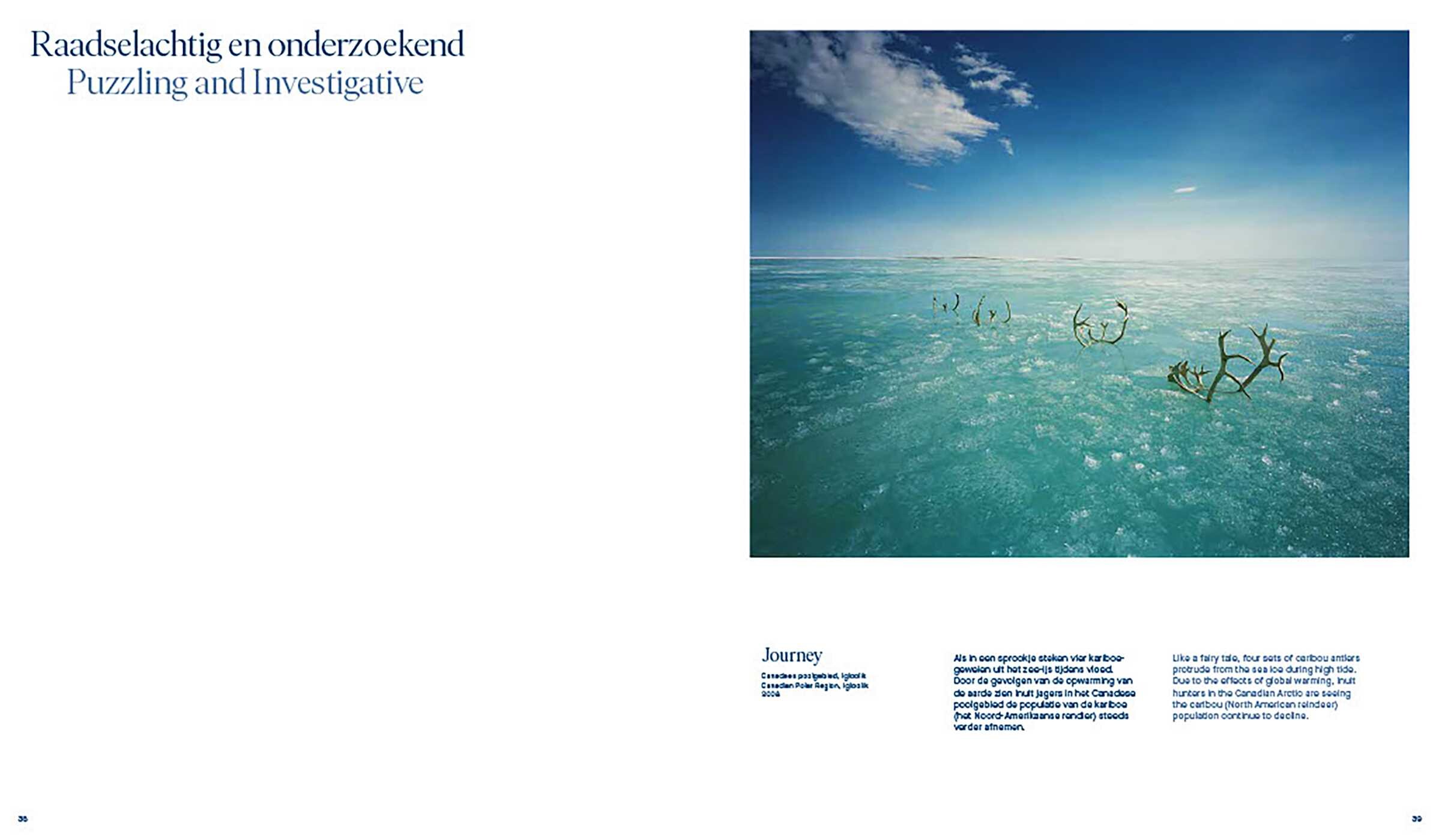 Scarlett Hooft Graafland | Book by Adrienne Quarles Ufford, Cathelijne ...