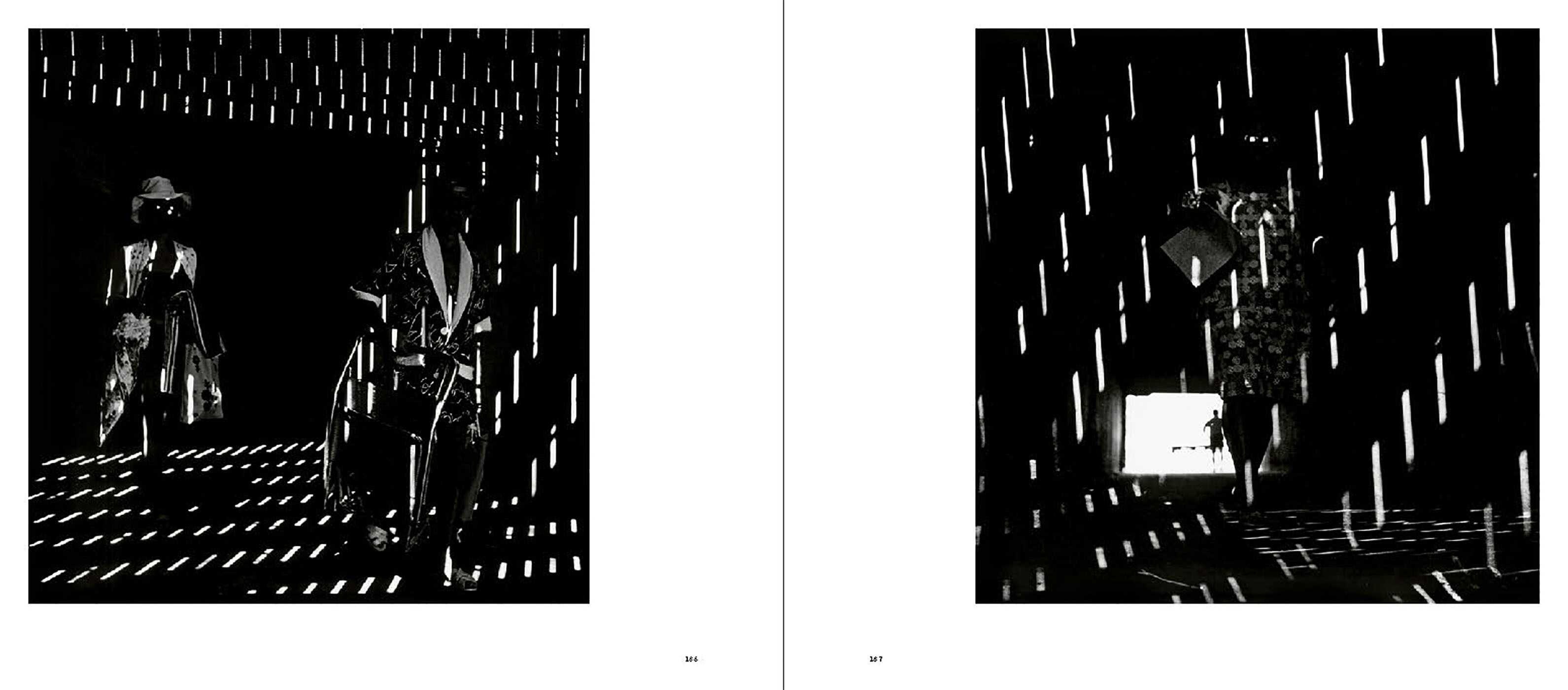 Ray K. Metzker: City Lux | Book by Carrie Springer, Philippe Séclier ...