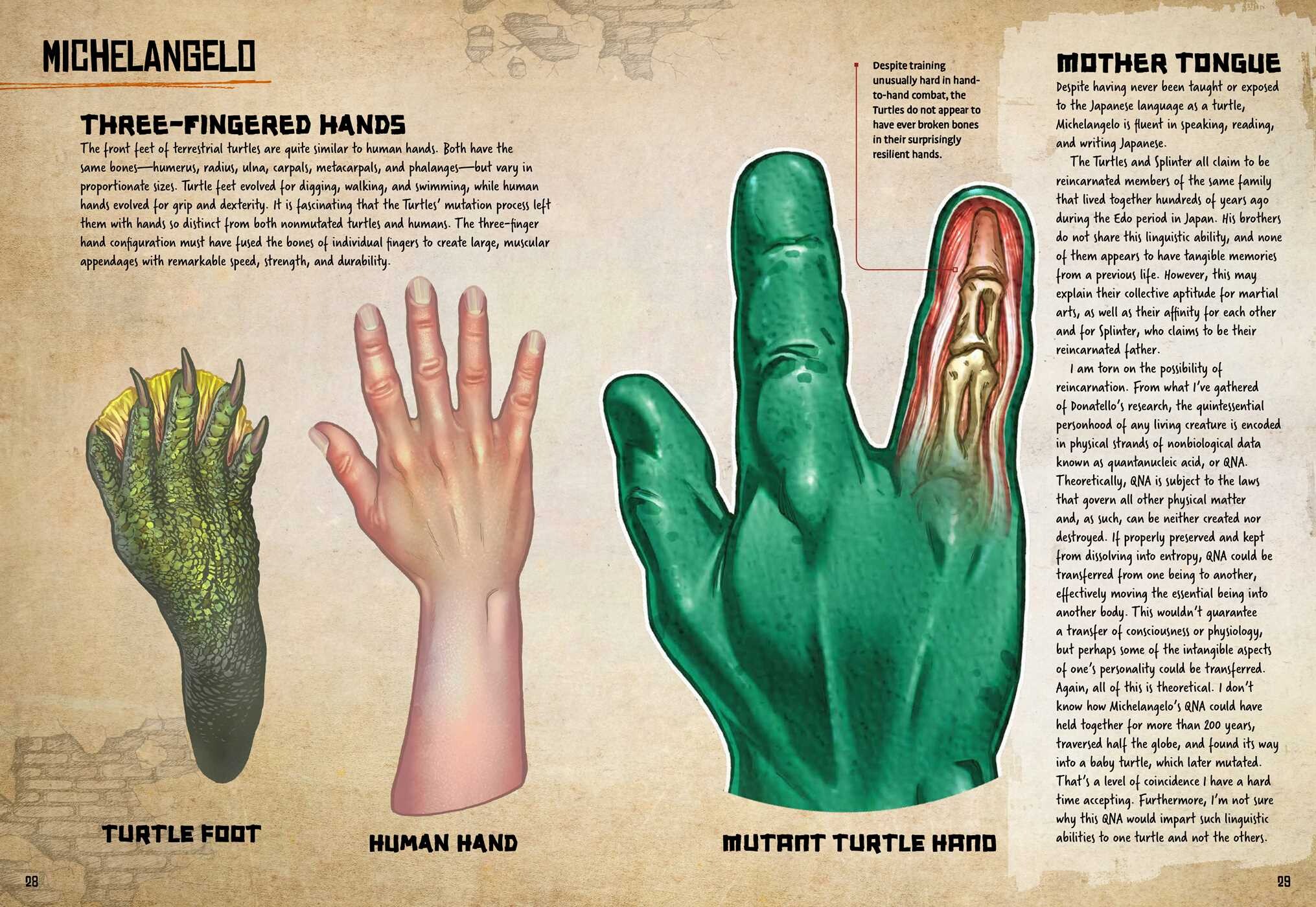 Teenage Mutant Ninja Turtles: Anatomy of a Mutant | Book by Patrick ...