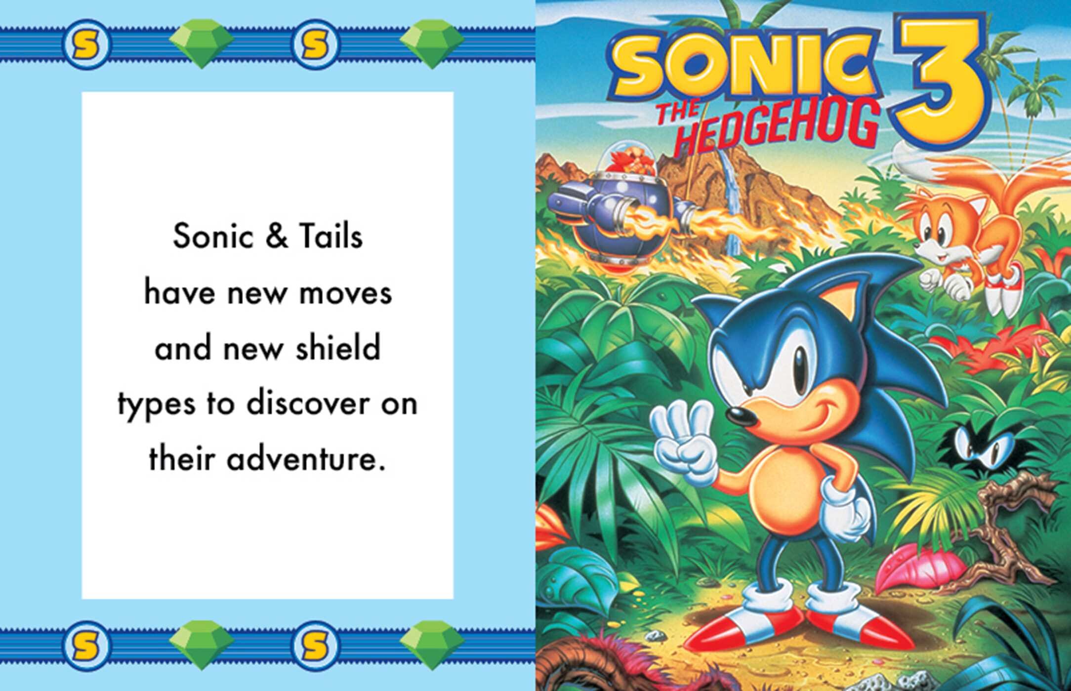 Sonic the Hedgehog: Tiny Book | Book by Ian Flynn | Official Publisher ...