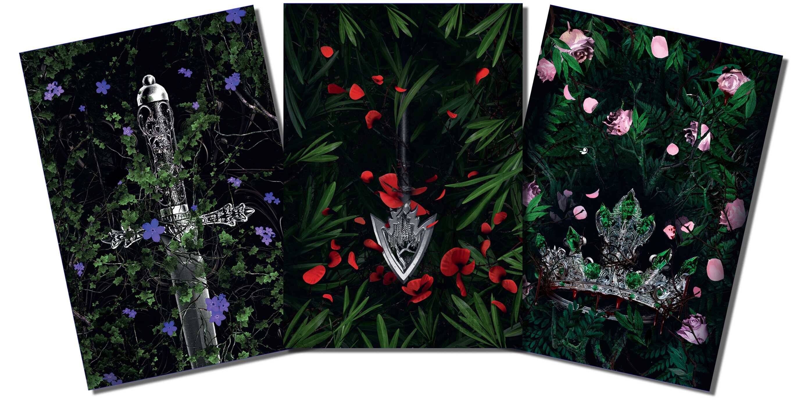 Lauren Roberts: Powerless Trilogy Notebook Boxed Set (Set of 3) | Book ...