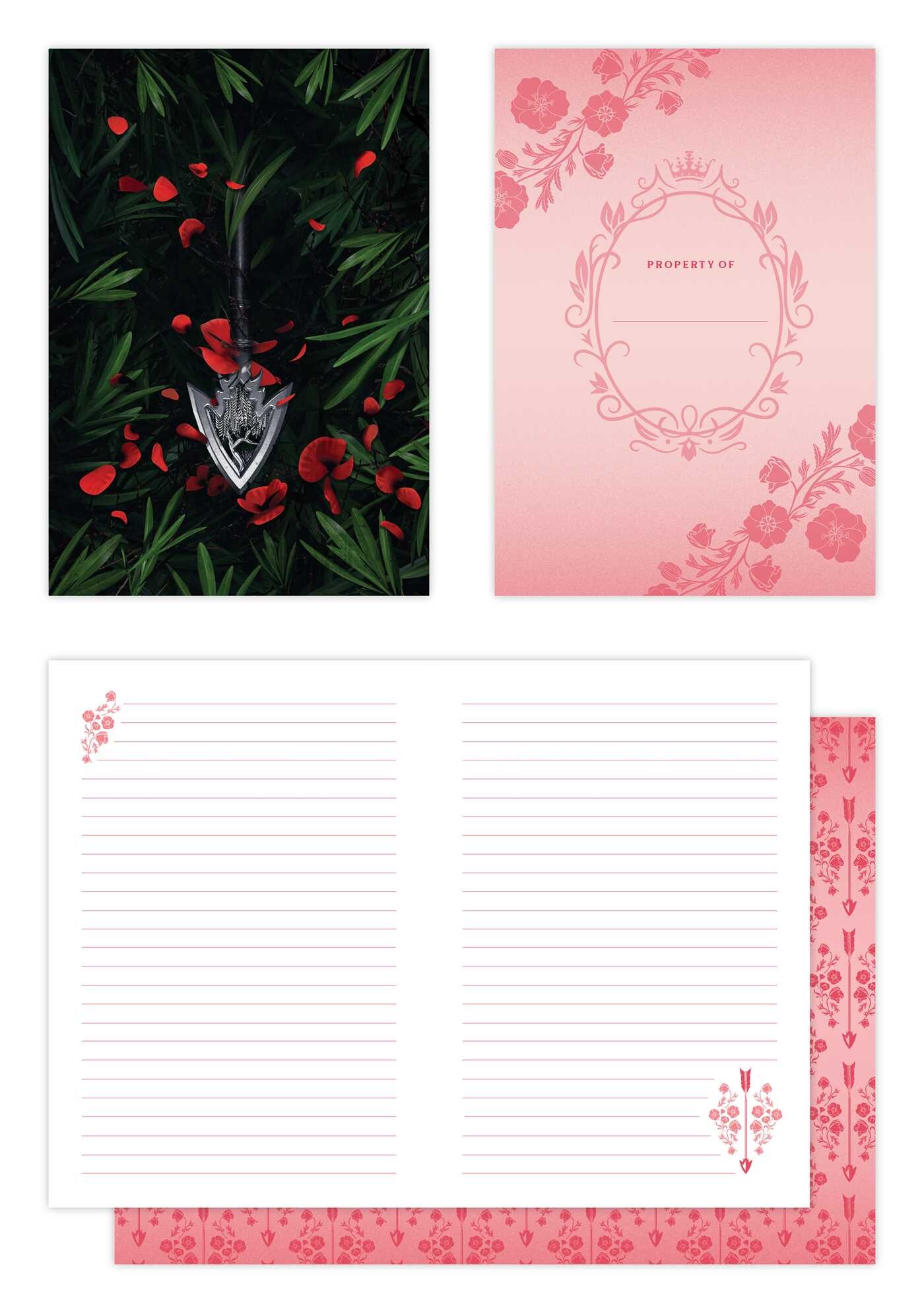 Lauren Roberts: Powerless Trilogy Notebook Boxed Set (Set of 3) | Book ...