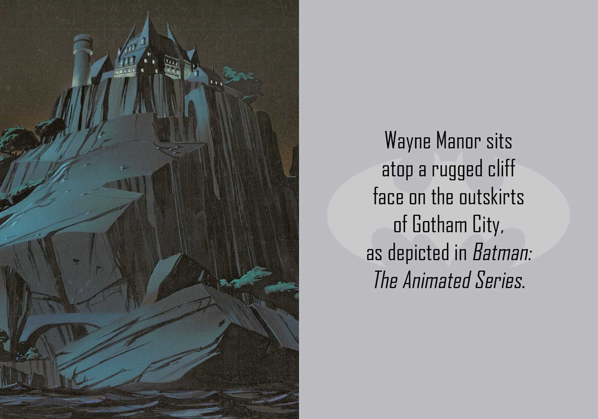 DC: Batman | Book by Insight Editions | Official Publisher Page | Simon ...