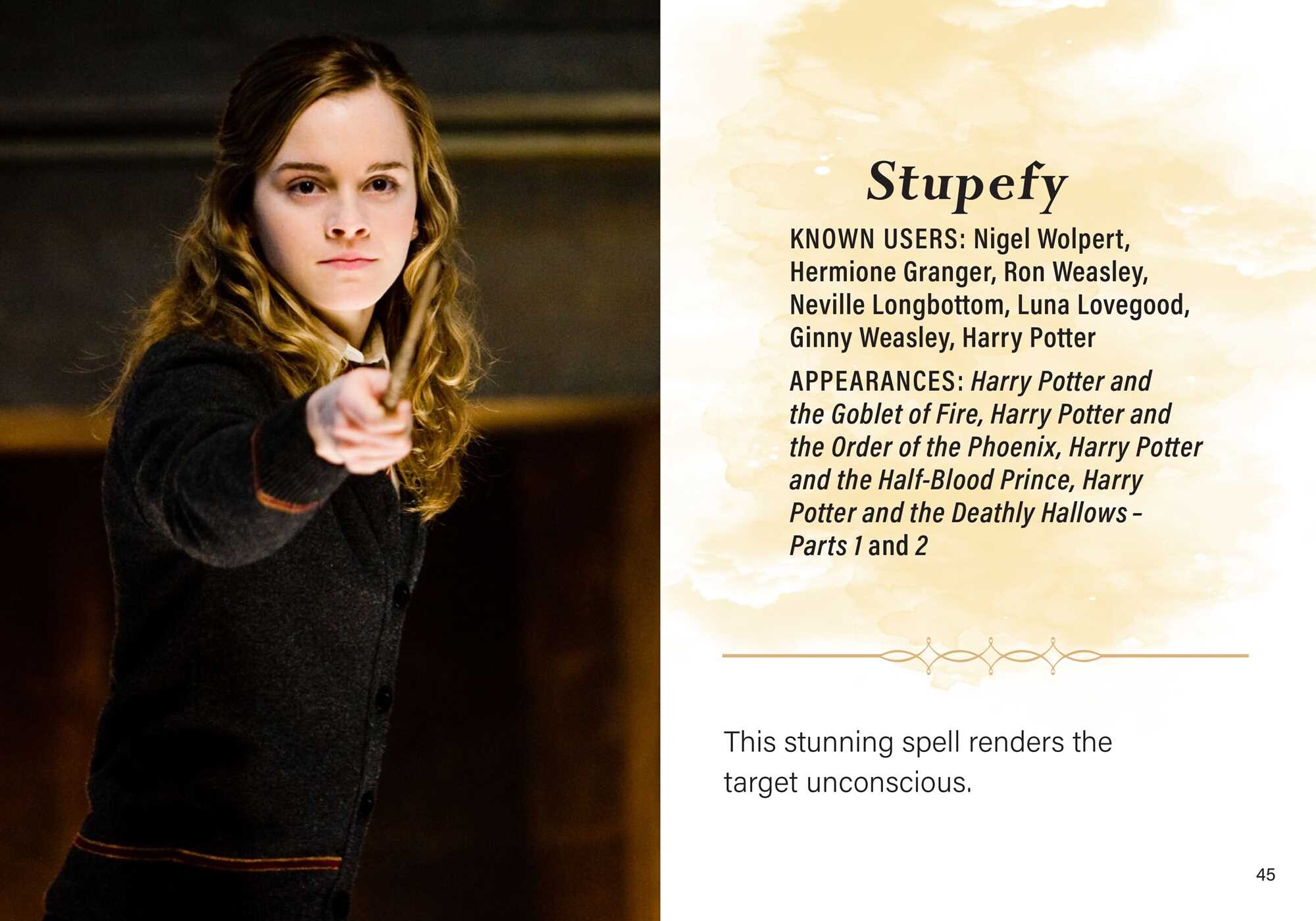 Harry Potter: Mini Book Trunk - Book Summary & Video | Official ...