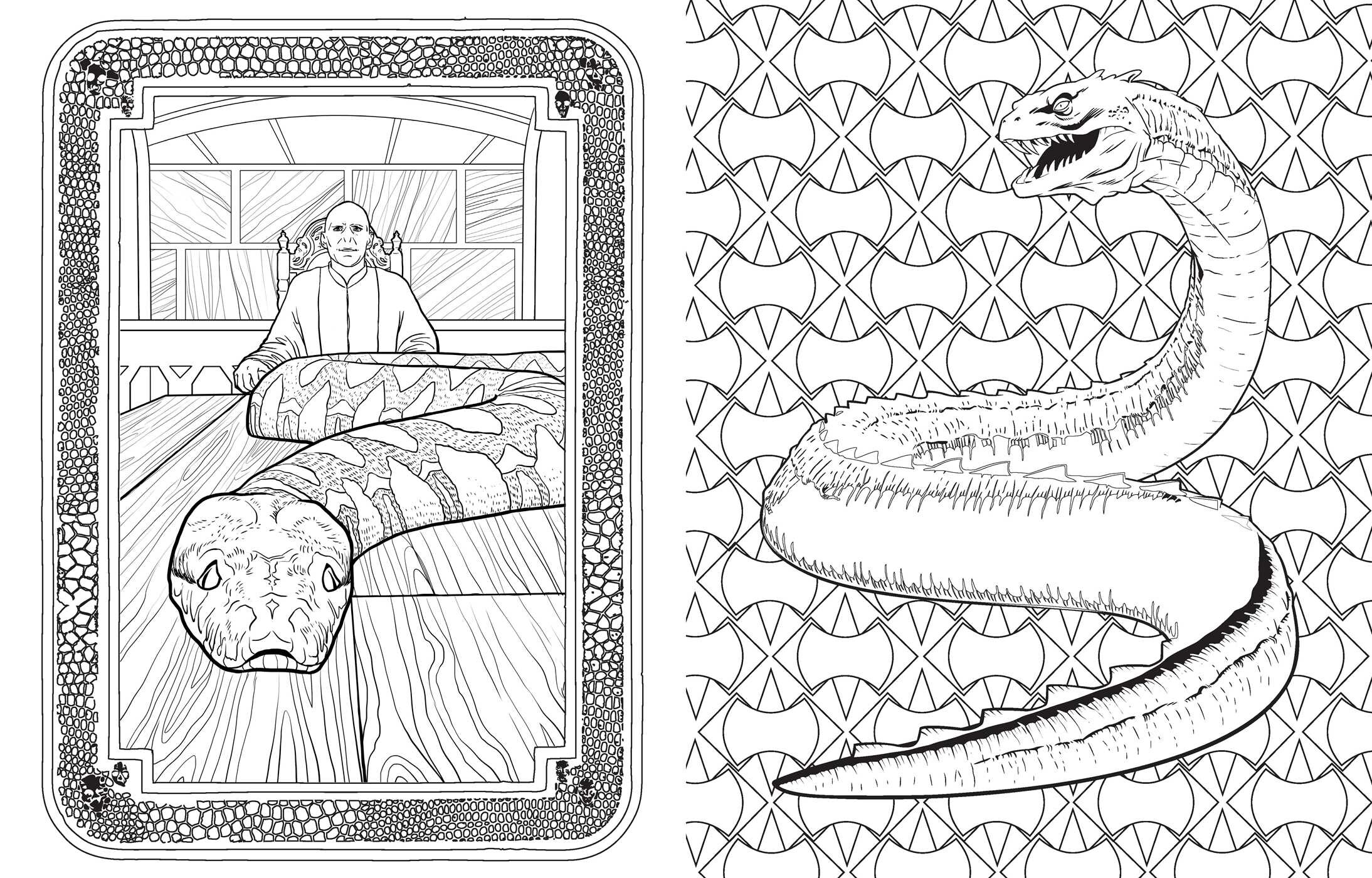 Harry Potter: Magical Creatures Coloring Book | Book by Insight ...