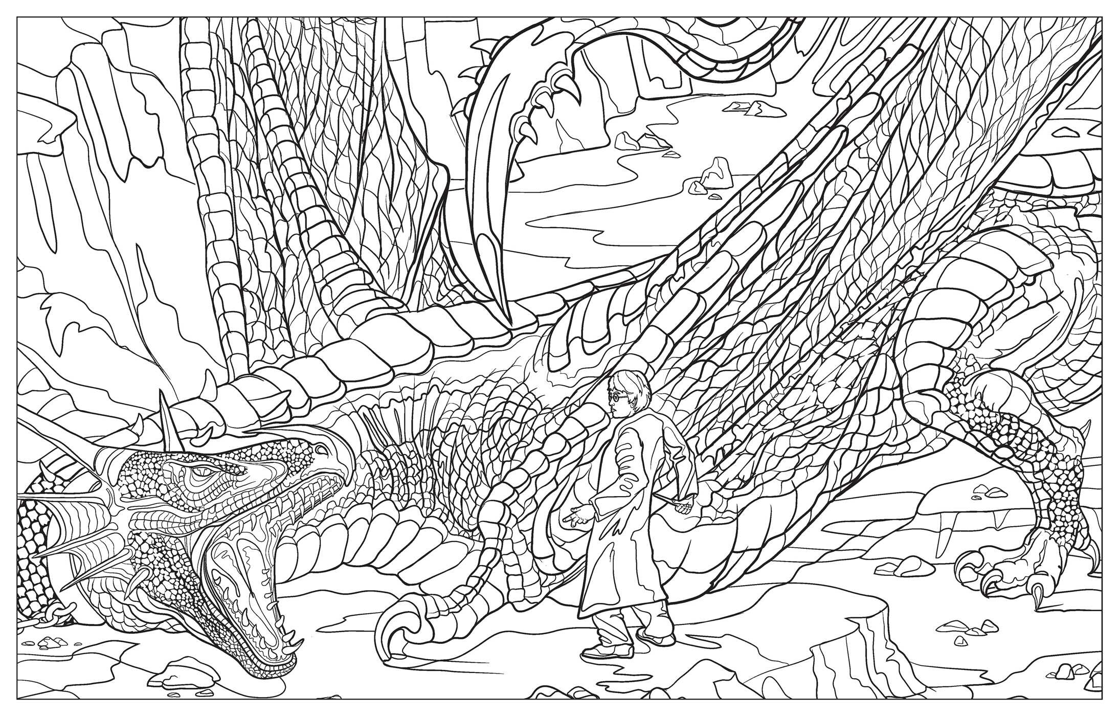 Harry Potter: Magical Creatures Coloring Book | Book by Insight ...