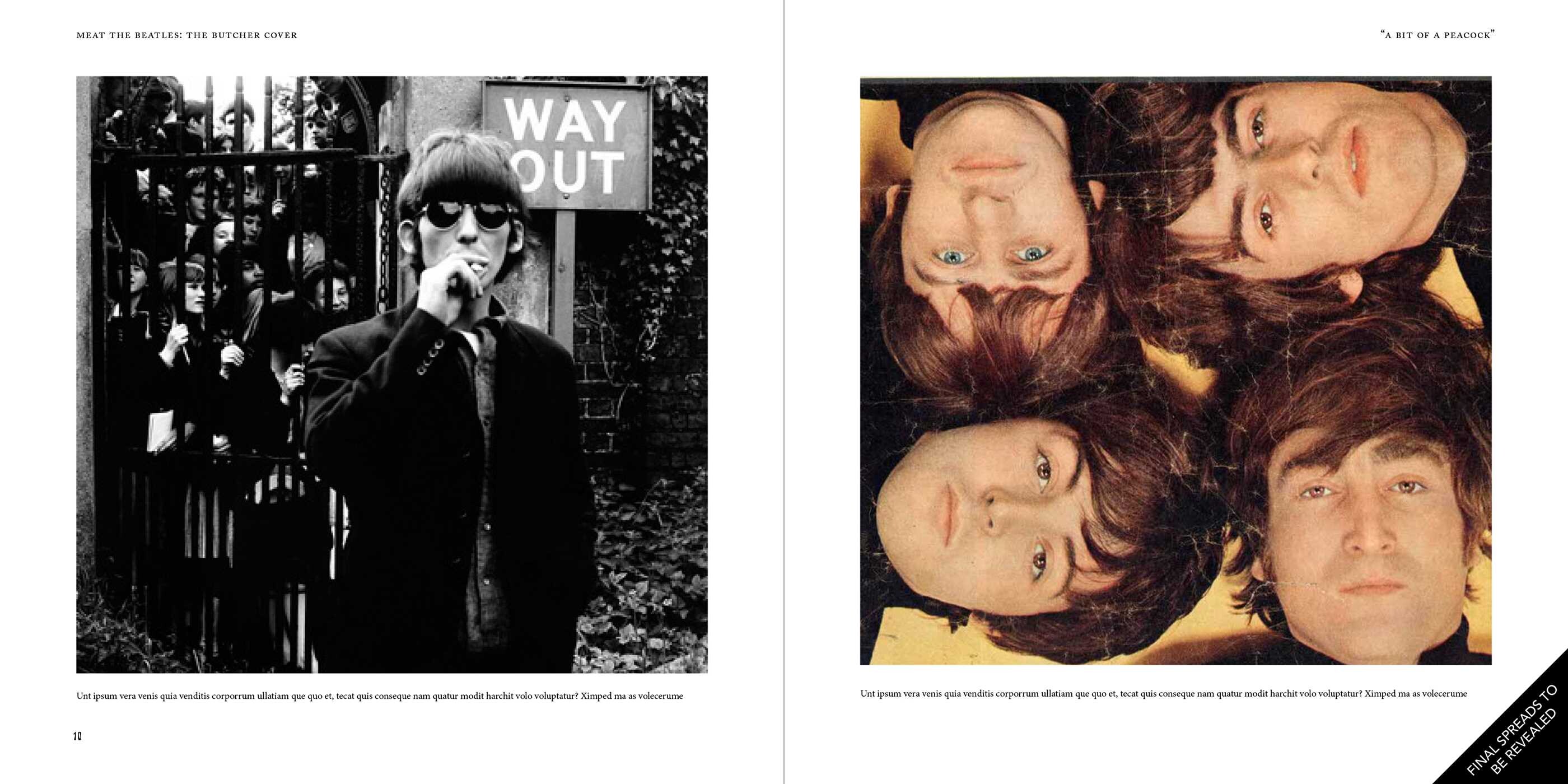 Meat the Beatles: The Butcher Cover | Book by Erika White | Official ...