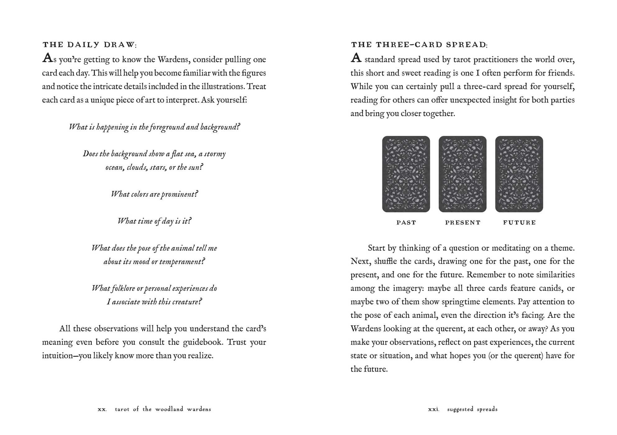 Tarot of the Woodland Wardens - Book Summary & Video | Official ...