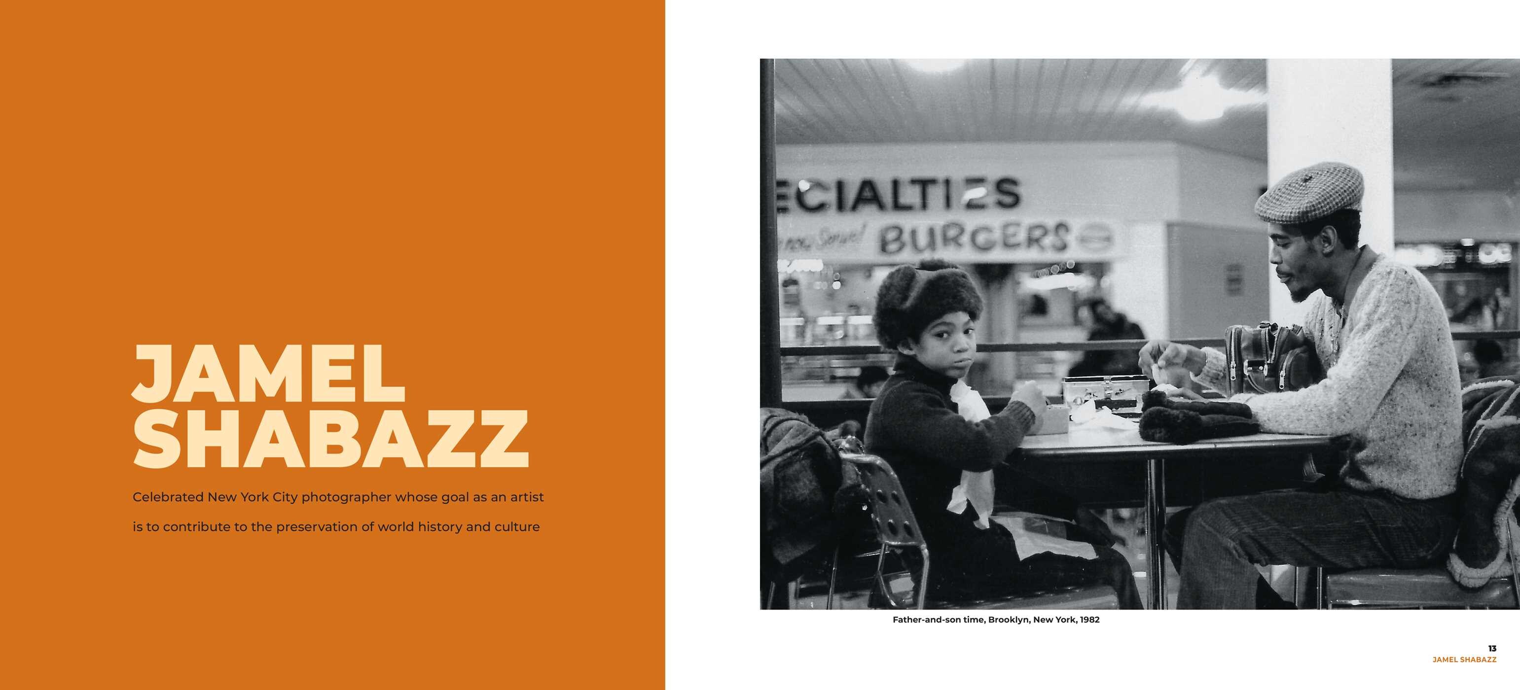 Framing Fatherhood | Book by Imani M. M. Cheers | Official Publisher ...