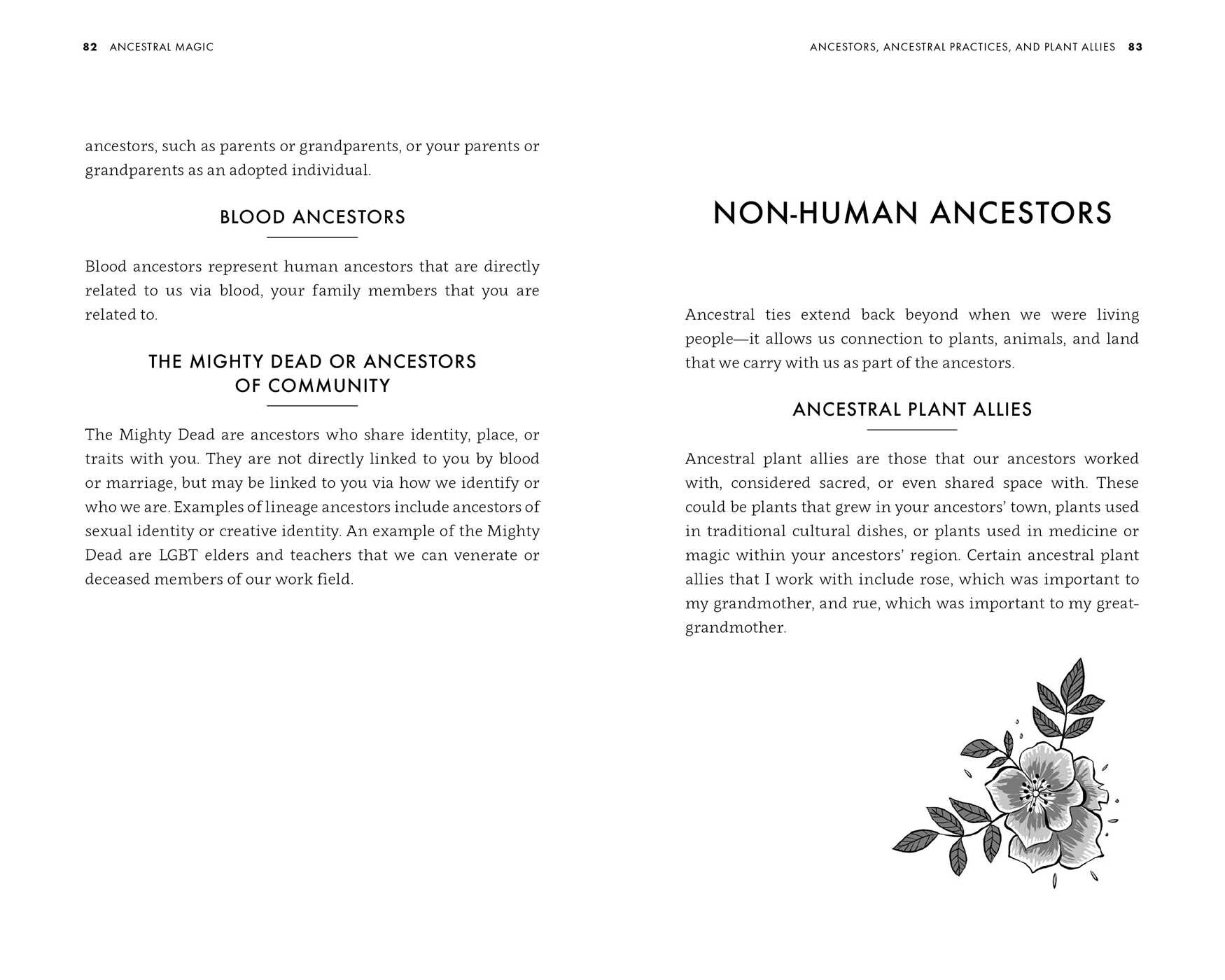 Ancestral Magic | Book by Frankie Castanea | Official Publisher Page ...