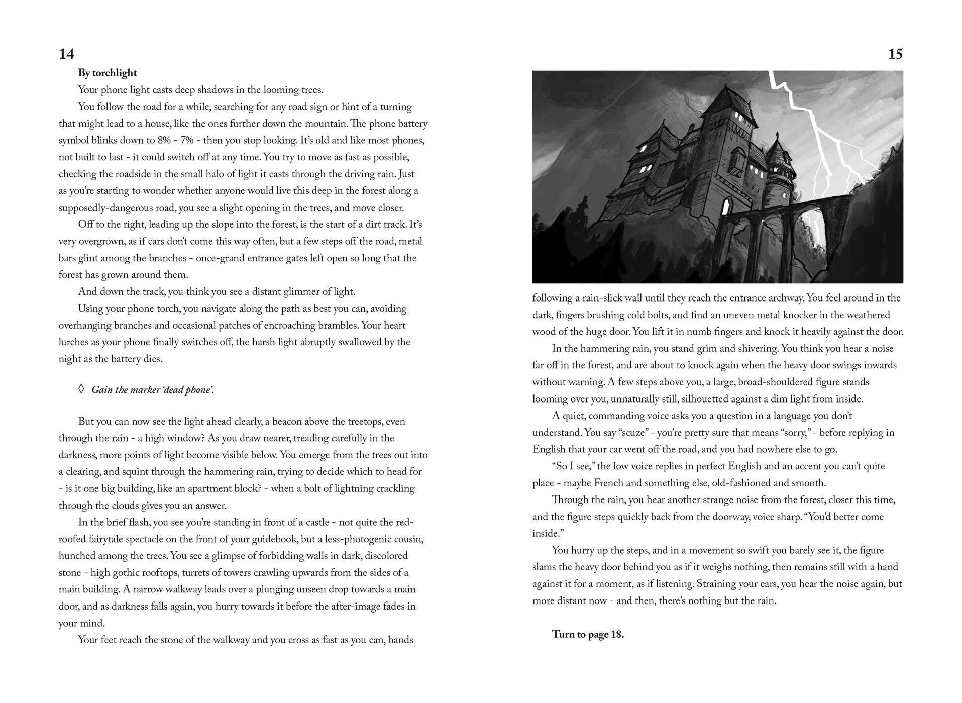 Night at the Vampire Castle | Book by Hari Conner | Official Publisher ...