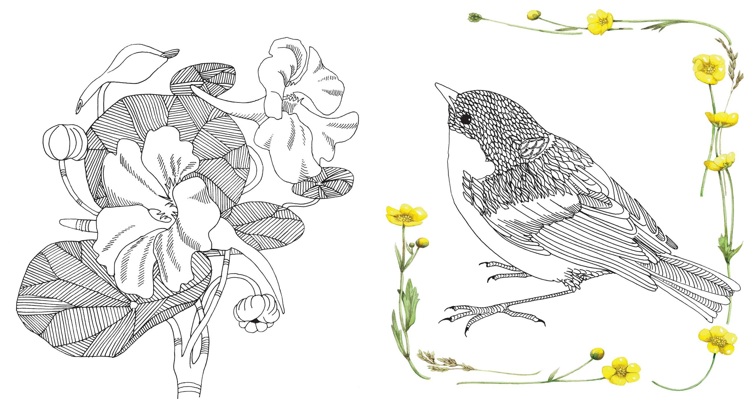 Magical Nature | Book by Marjolein Bastin | Official Publisher Page ...