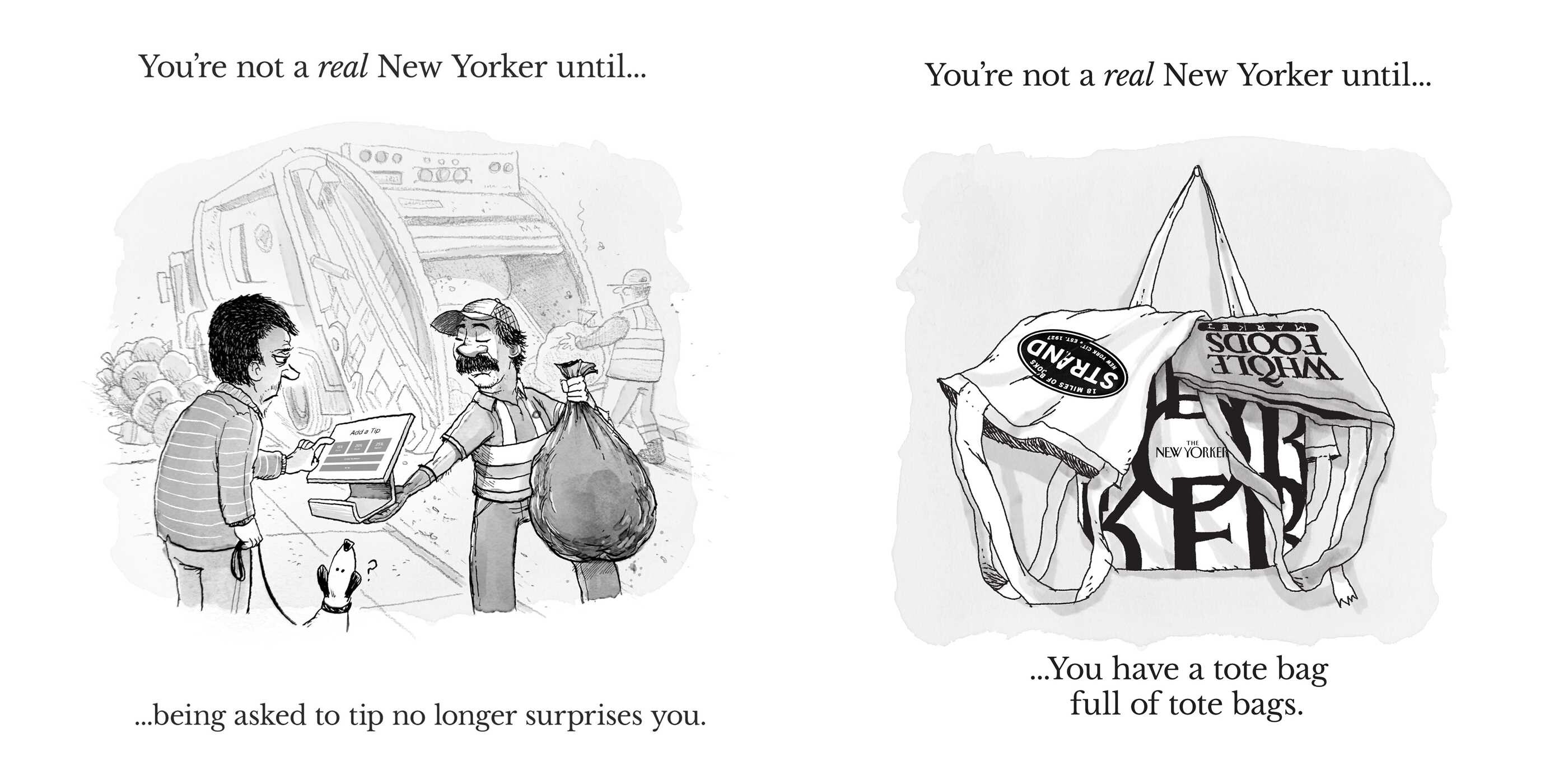 You're Not a Real New Yorker Until... | Book by Jason Chatfield, Scott ...