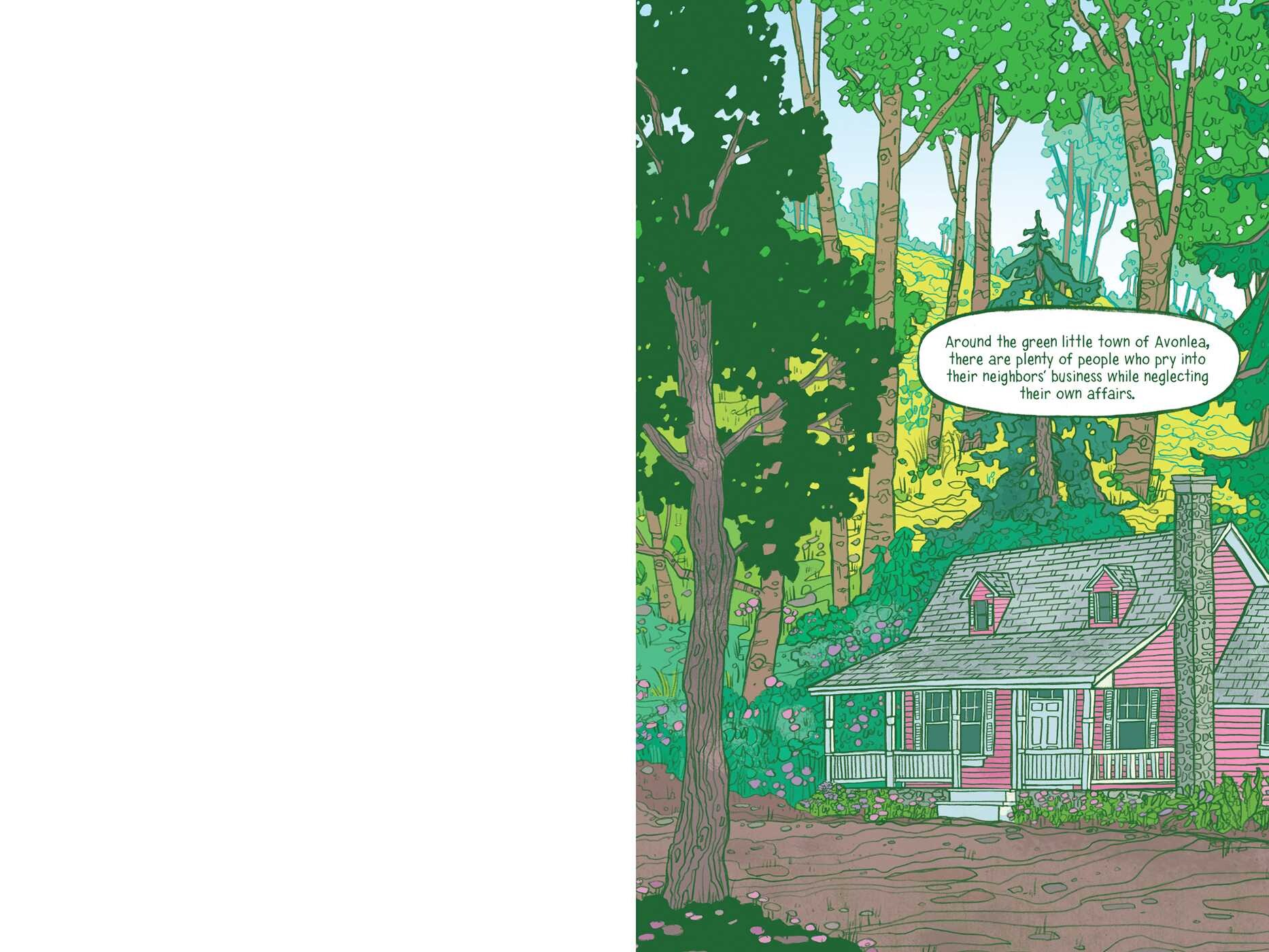 Graphic Novel Classics: The Secret Garden, Anne of Green Gables, and ...