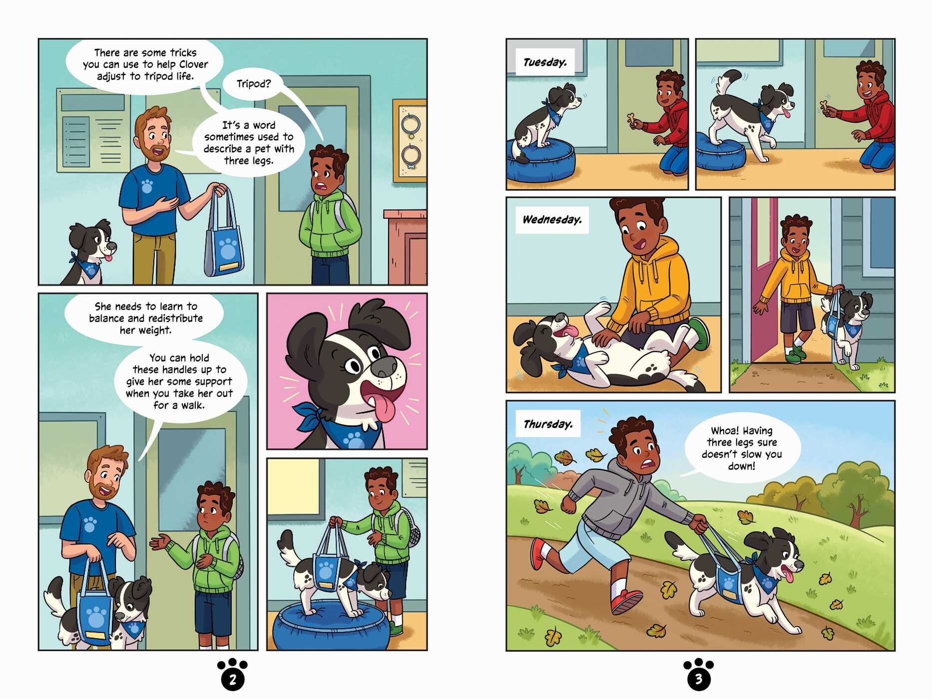 Animal Rescue Friends Box Set | Book by Gina Loveless, Meika Hashimoto ...