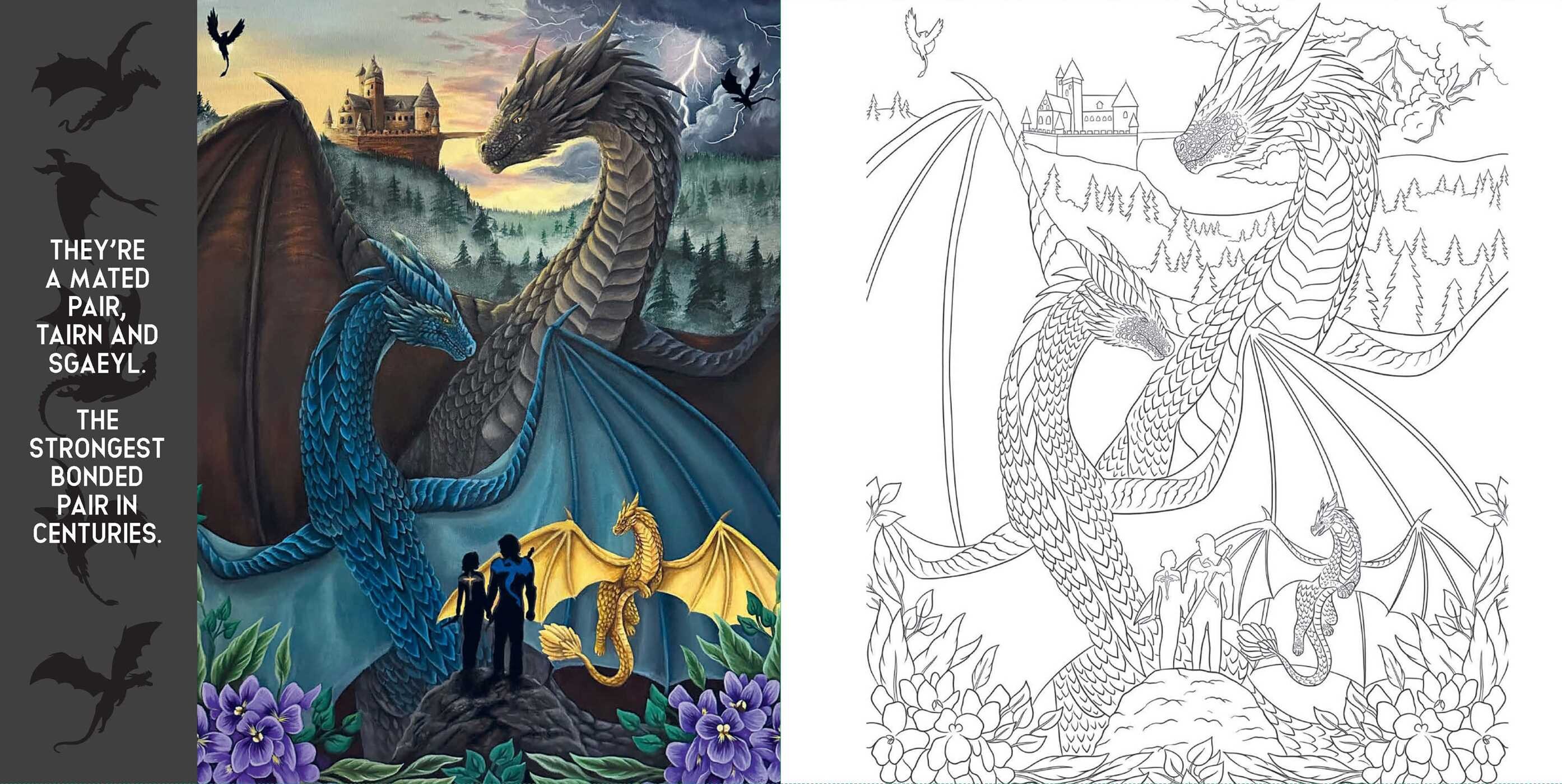 Fourth Wing: The Official Coloring Book | Book by Entangled | Official ...