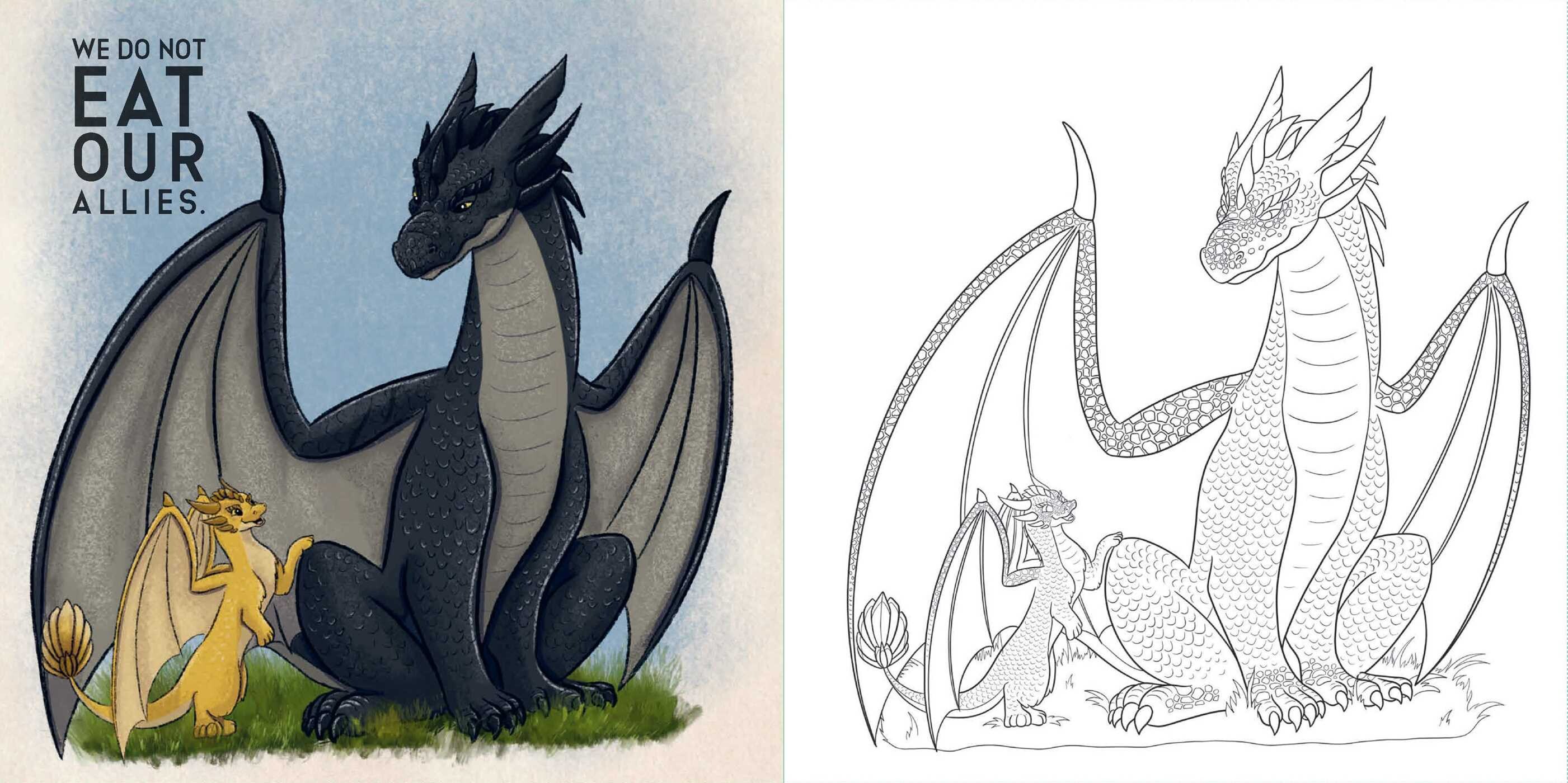 Fourth Wing: The Official Coloring Book | Book by Entangled | Official ...