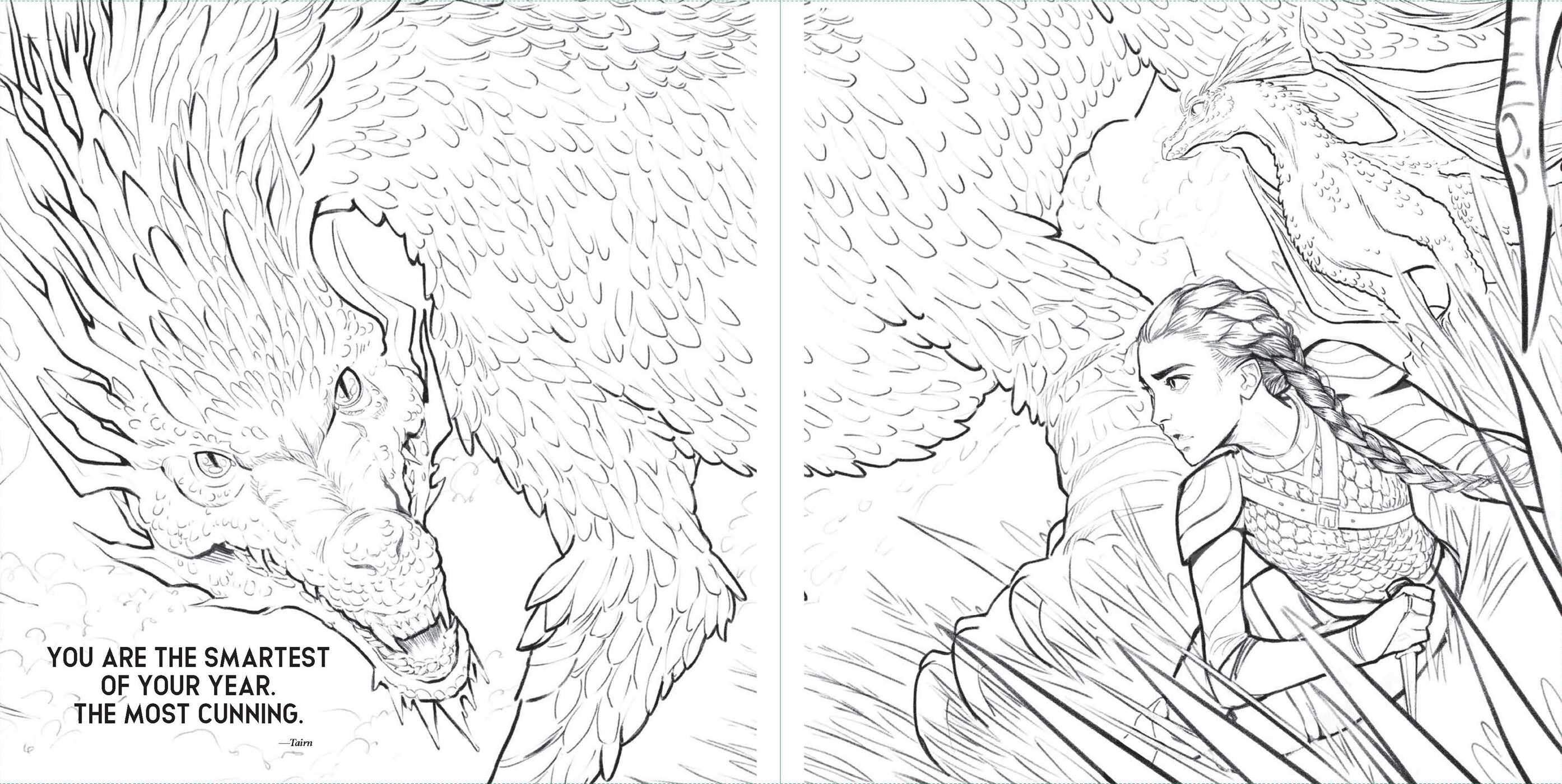 Fourth Wing: The Official Colouring Book | Book by Entangled | Official ...