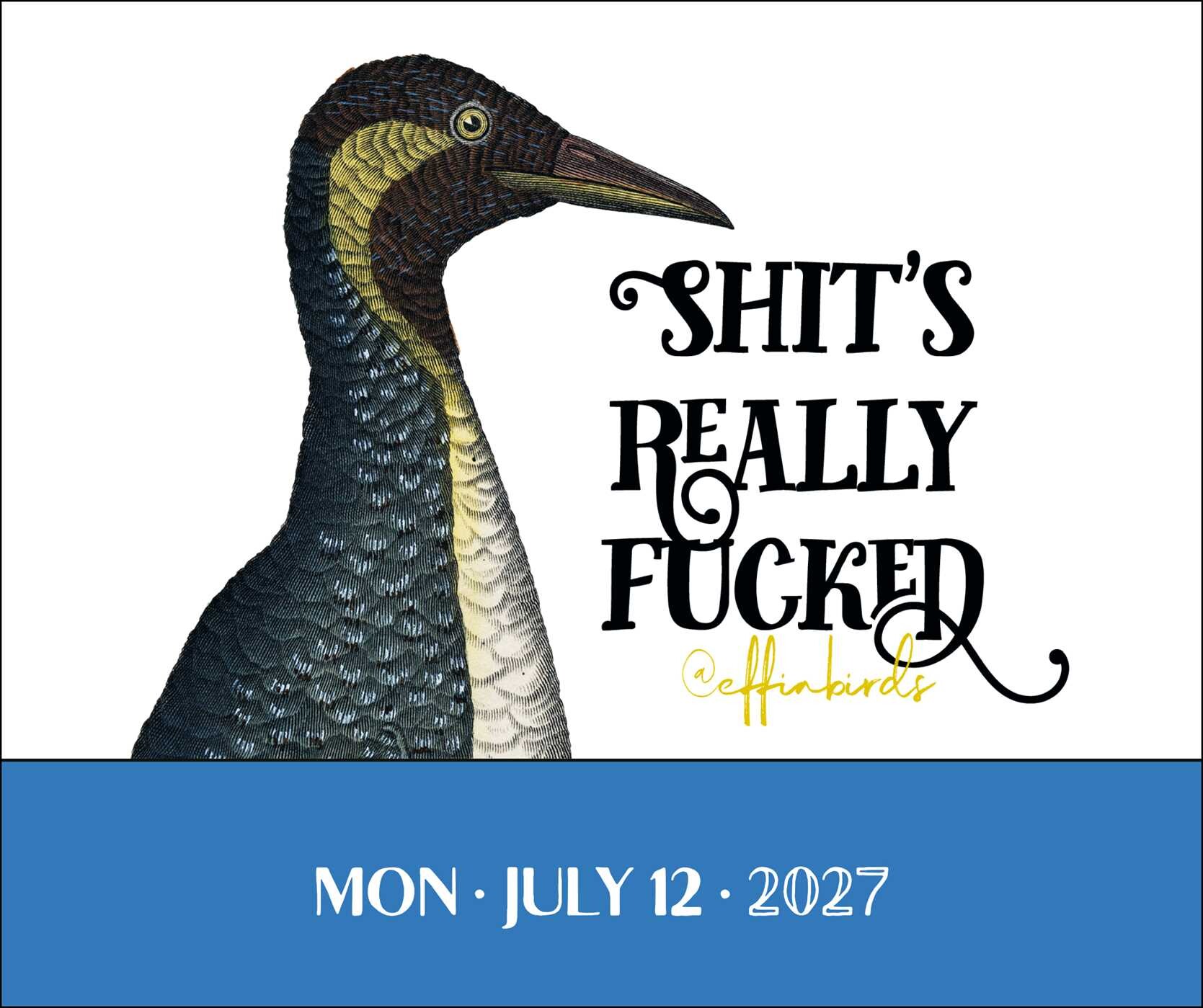 Effin' Birds 2027 Day-to-Day Calendar - Book Summary & Video | Official ...