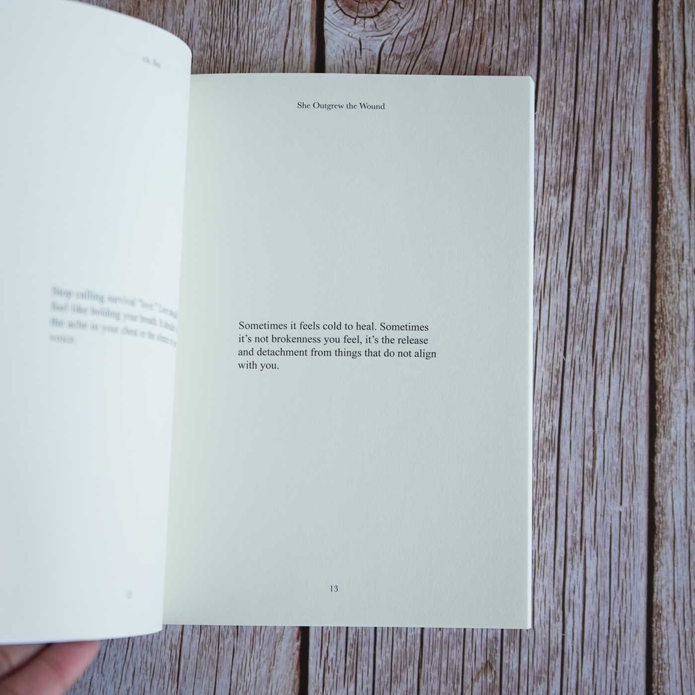She Outgrew the Wound | Book by r.h. Sin | Official Publisher Page ...