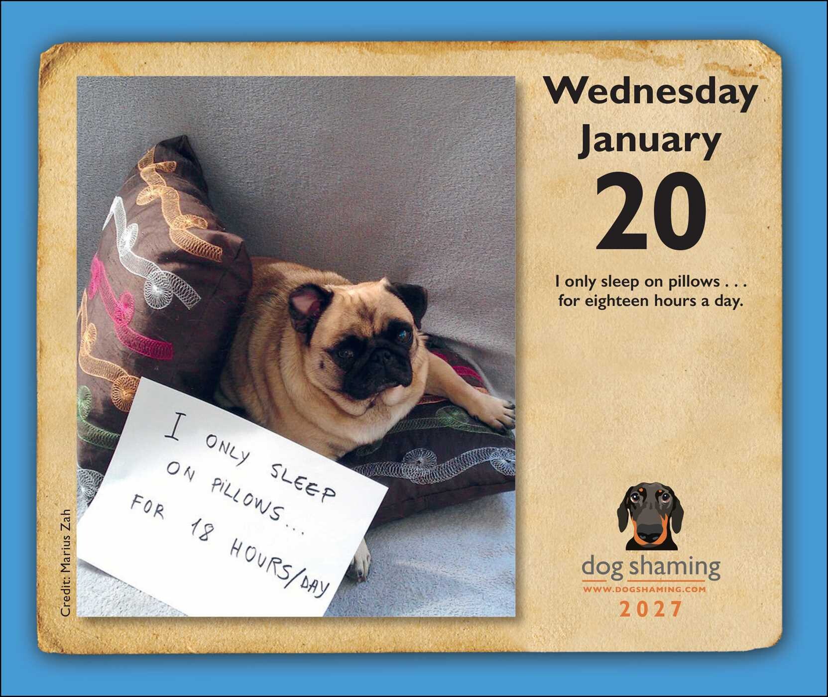 Dog Shaming 2027 Day-to-Day Calendar - Book Summary & Video | Official ...