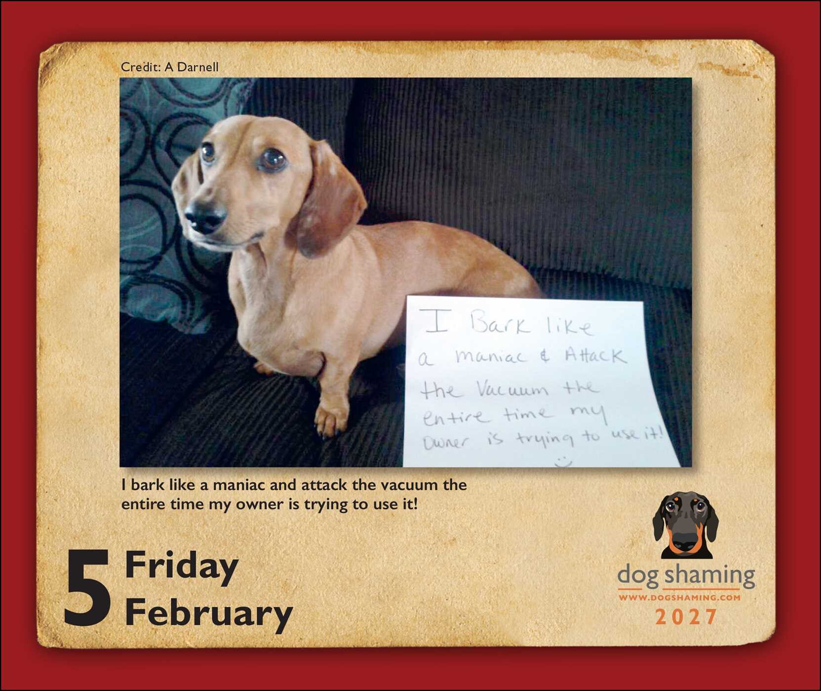 Dog Shaming 2027 Day-to-Day Calendar - Book Summary & Video | Official ...