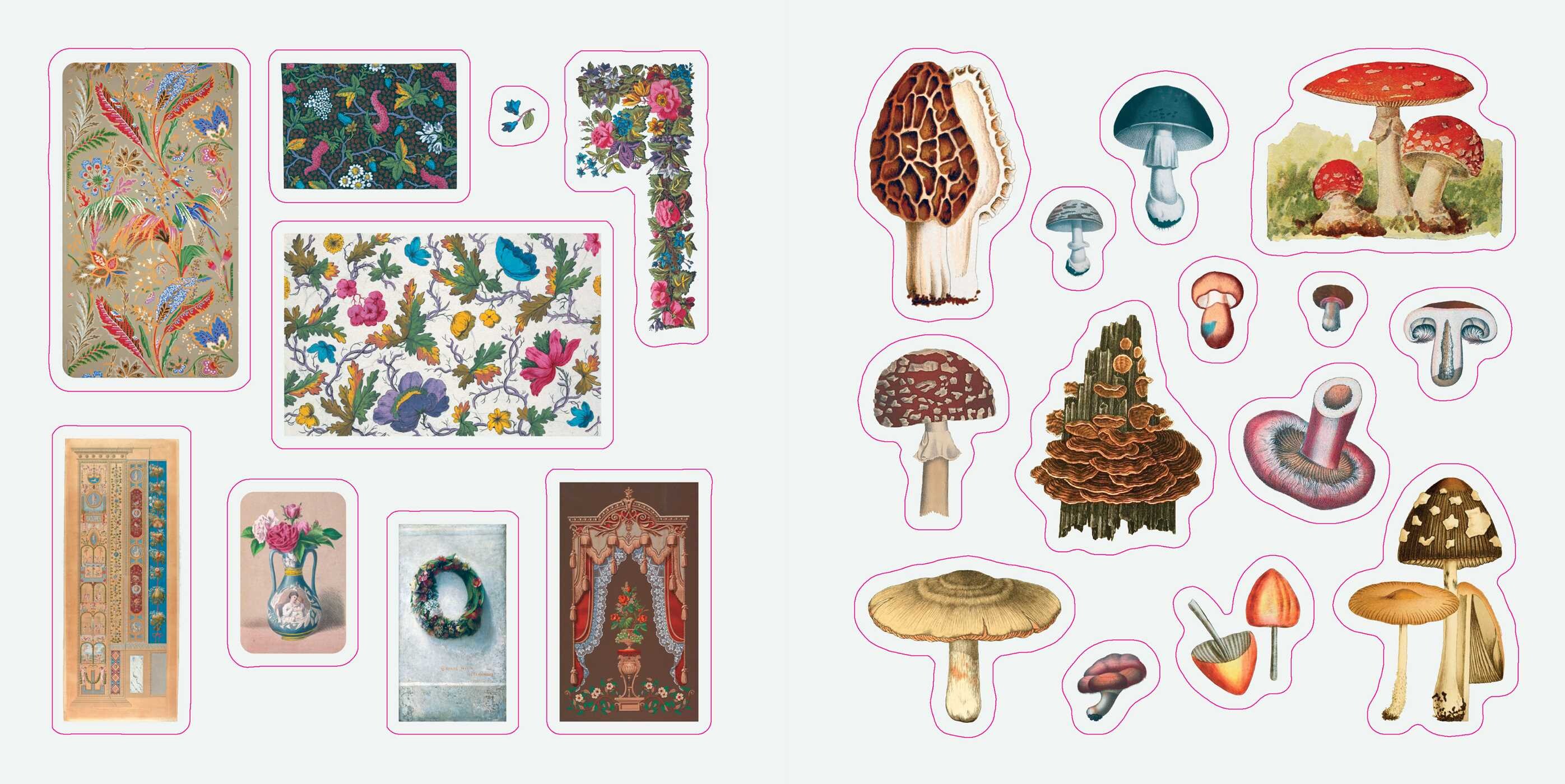 Botanicals: A Smithsonian Sticker Book | Book by The Smithsonian ...