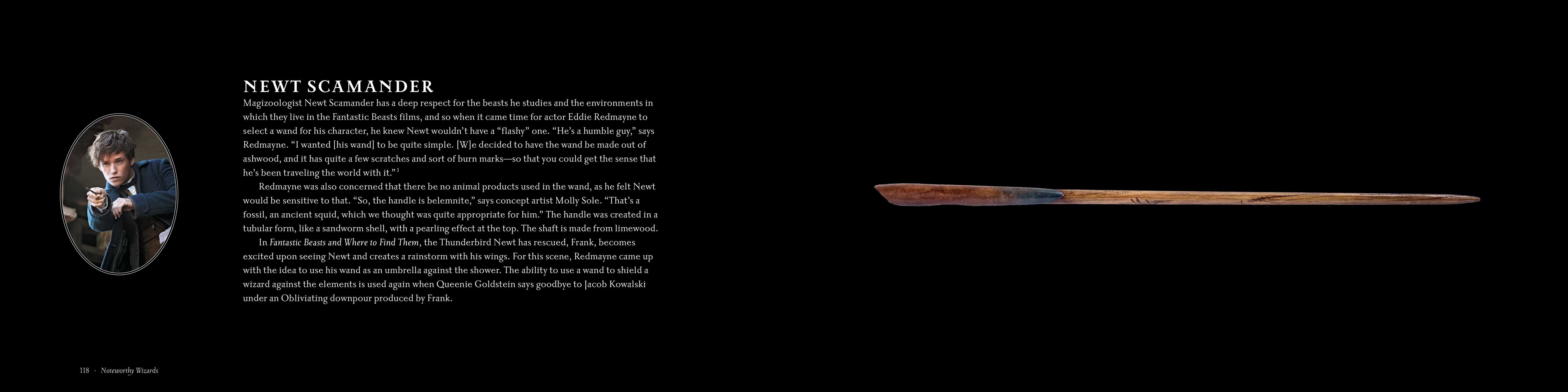 Harry Potter and Fantastic Beasts: The Wands of the Wizarding World ...