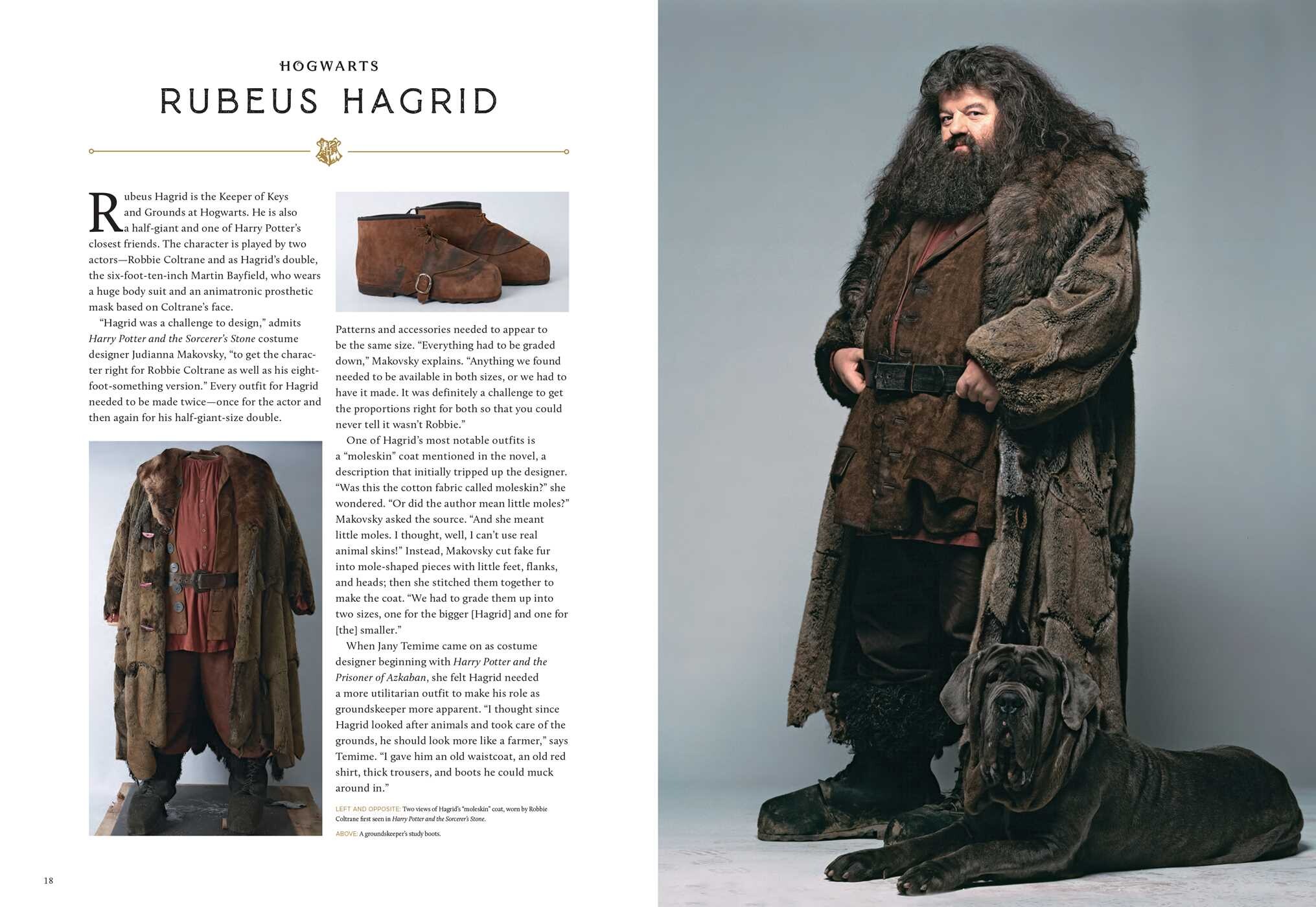 Harry Potter: Costumes of the Wizarding World | Book by Jody Revenson ...