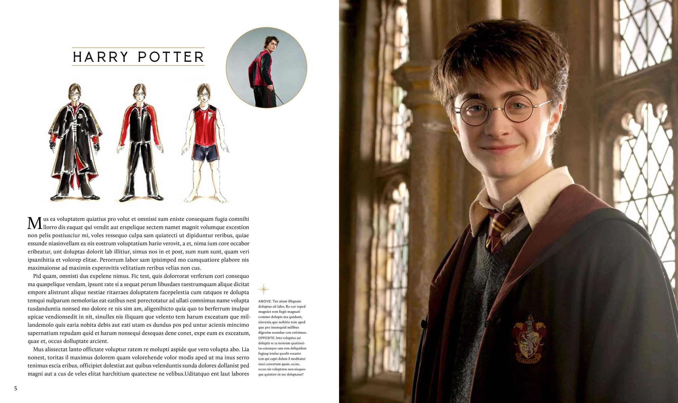 Harry Potter: Costumes of the Wizarding World | Book by Jody Revenson ...