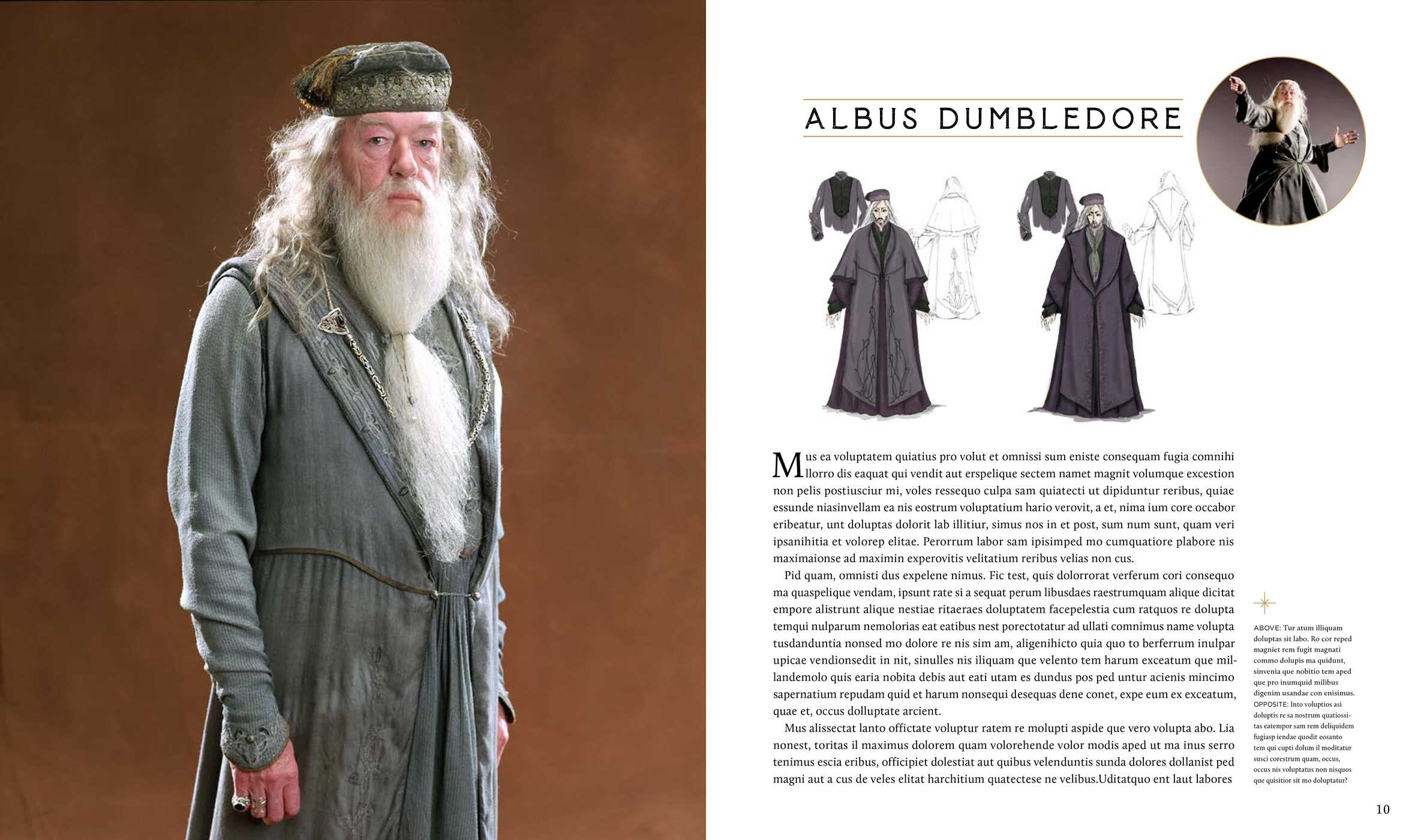 Harry Potter: Costumes of the Wizarding World | Book by Jody Revenson ...