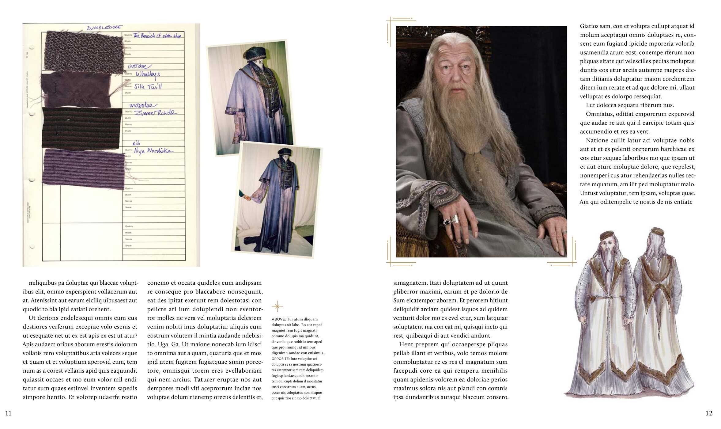 Harry Potter: Costumes of the Wizarding World | Book by Jody Revenson ...