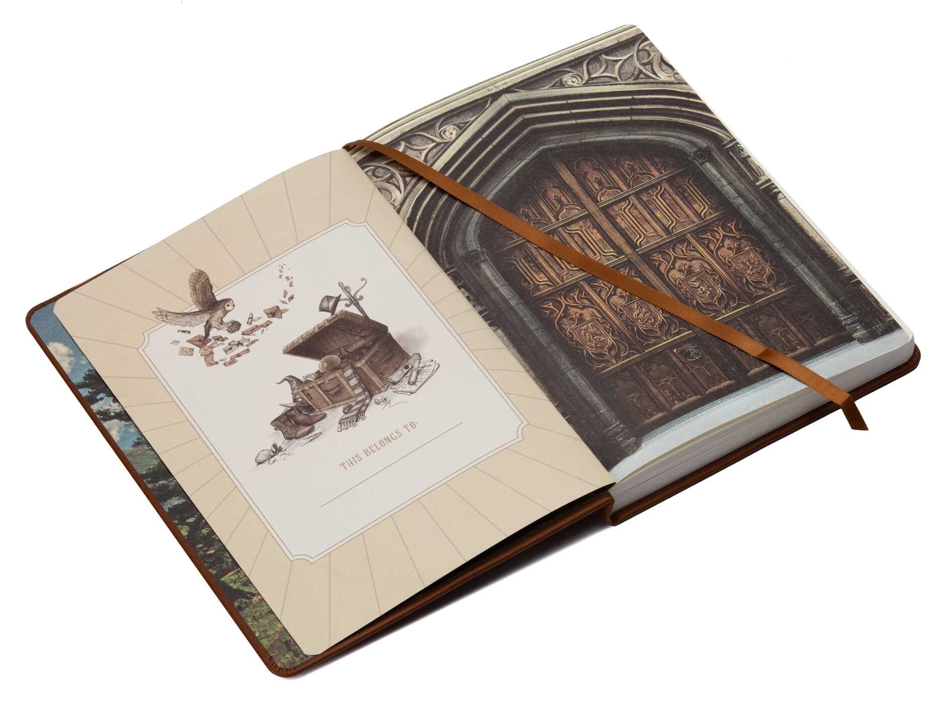 Harry Potter: Hogwarts Legacy Journal | Book by Insights | Official ...