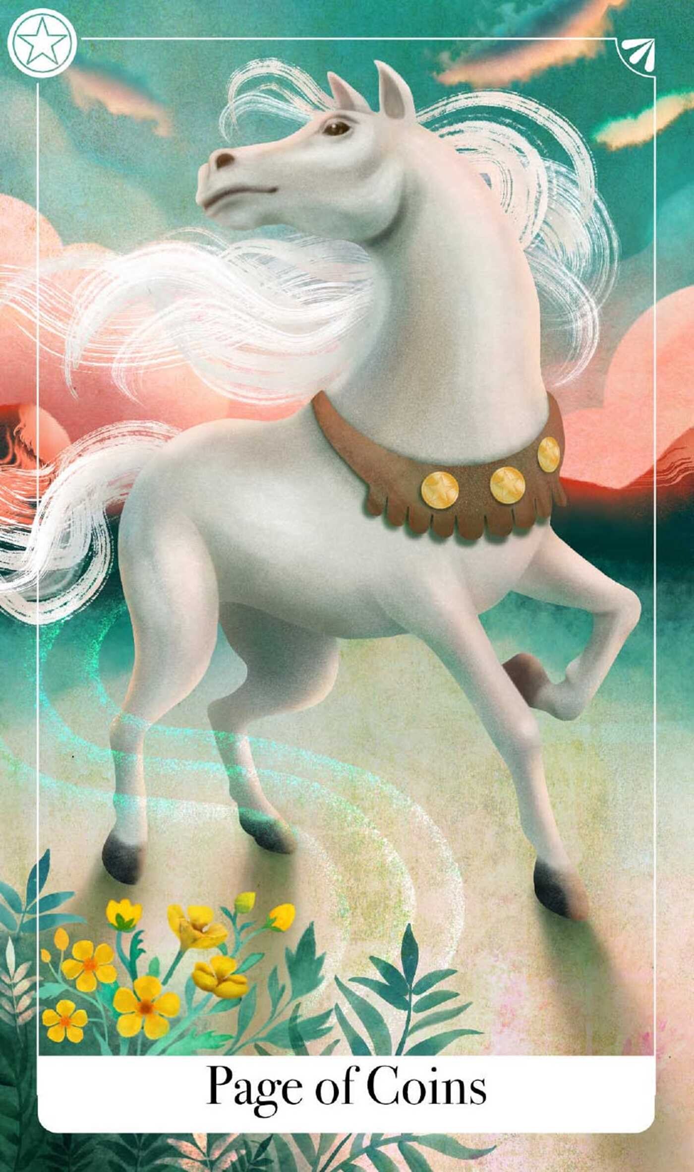 The Princess Bride Tarot Deck and Guidebook - Book Summary & Video ...