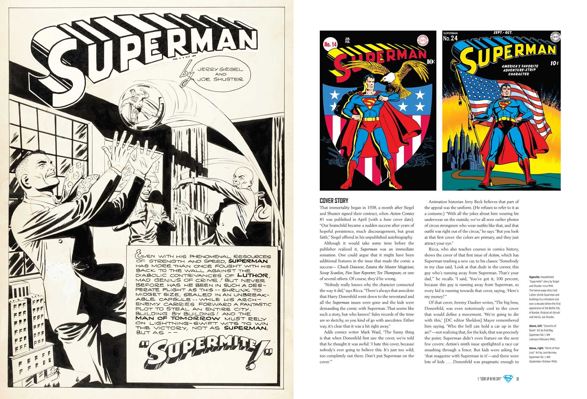 Superman: The Definitive History | Book by Edward Gross, Robert ...