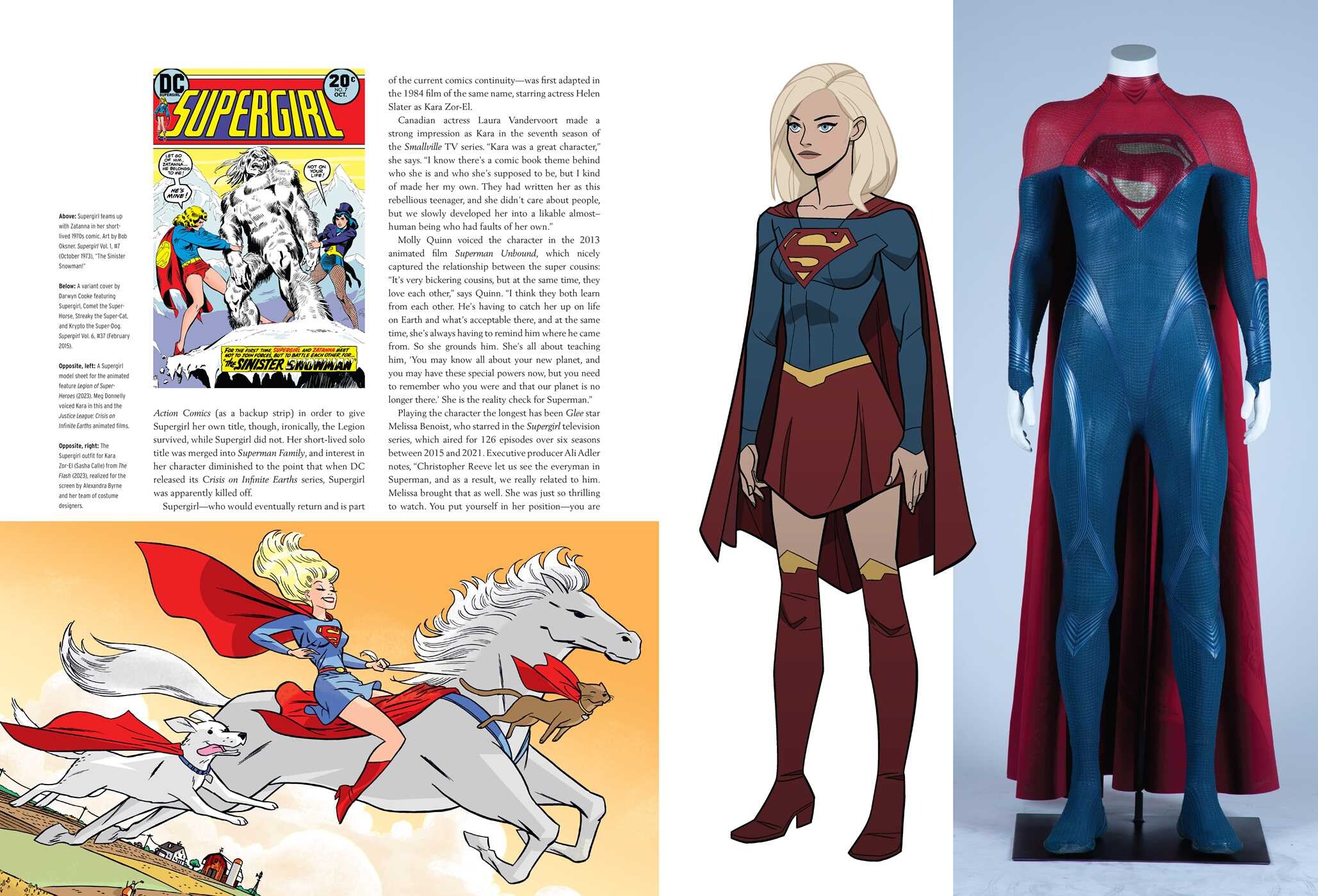 Superman: The Definitive History | Book by Edward Gross, Robert ...