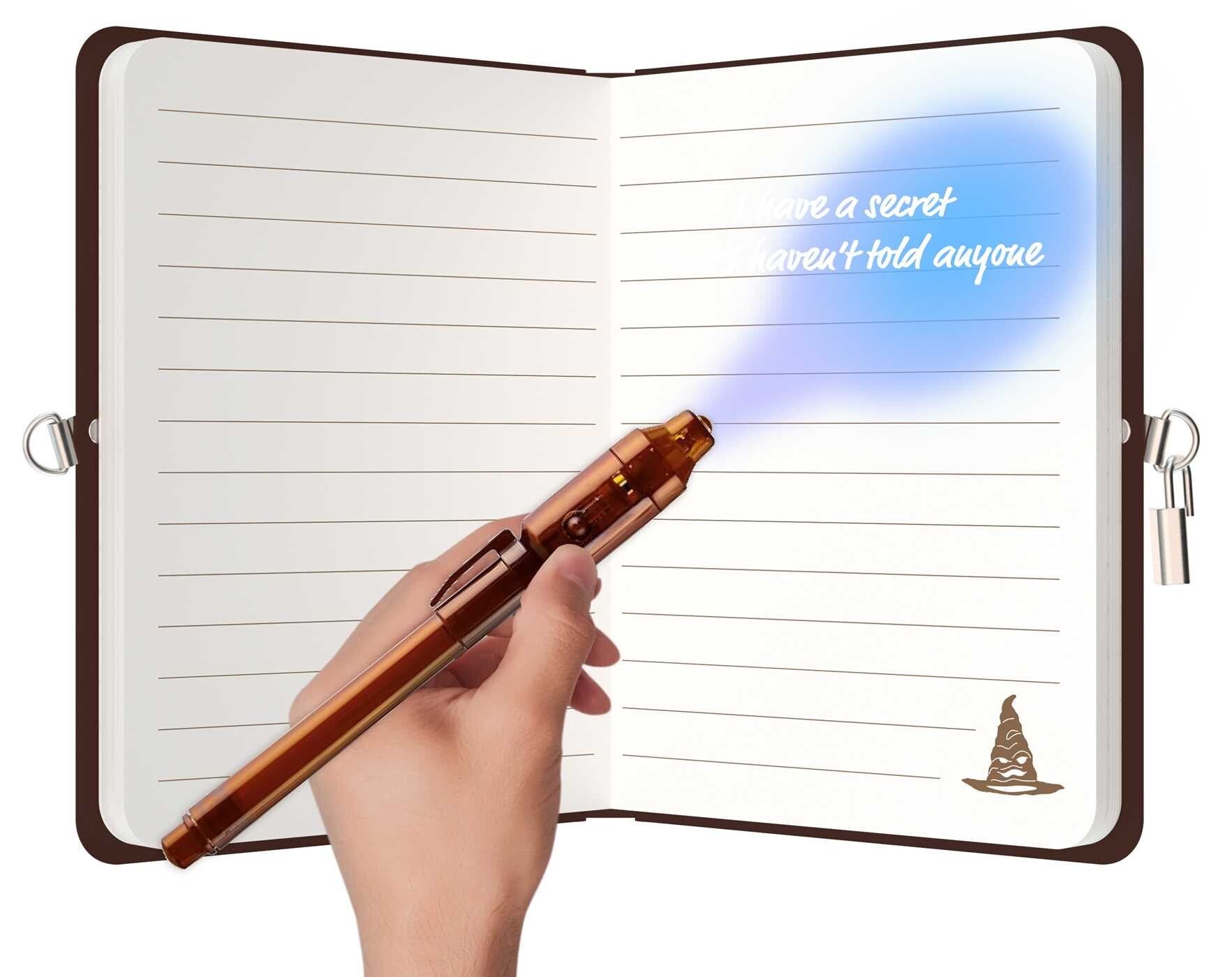 Harry Potter: Hogwarts Lock & Key Diary | Book by Insight Editions ...