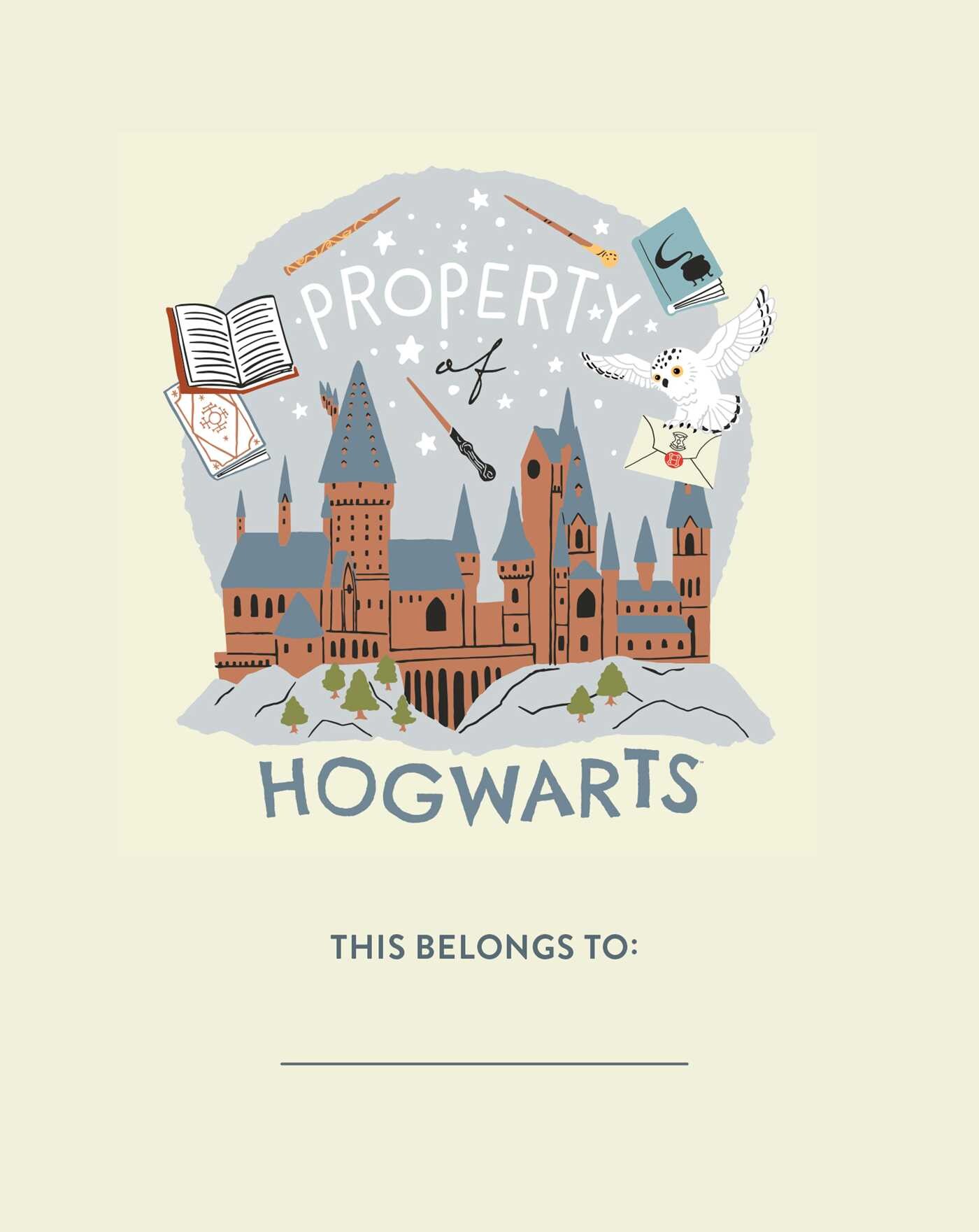 Harry Potter: Hogwarts Lock & Key Diary | Book by Insight Editions ...