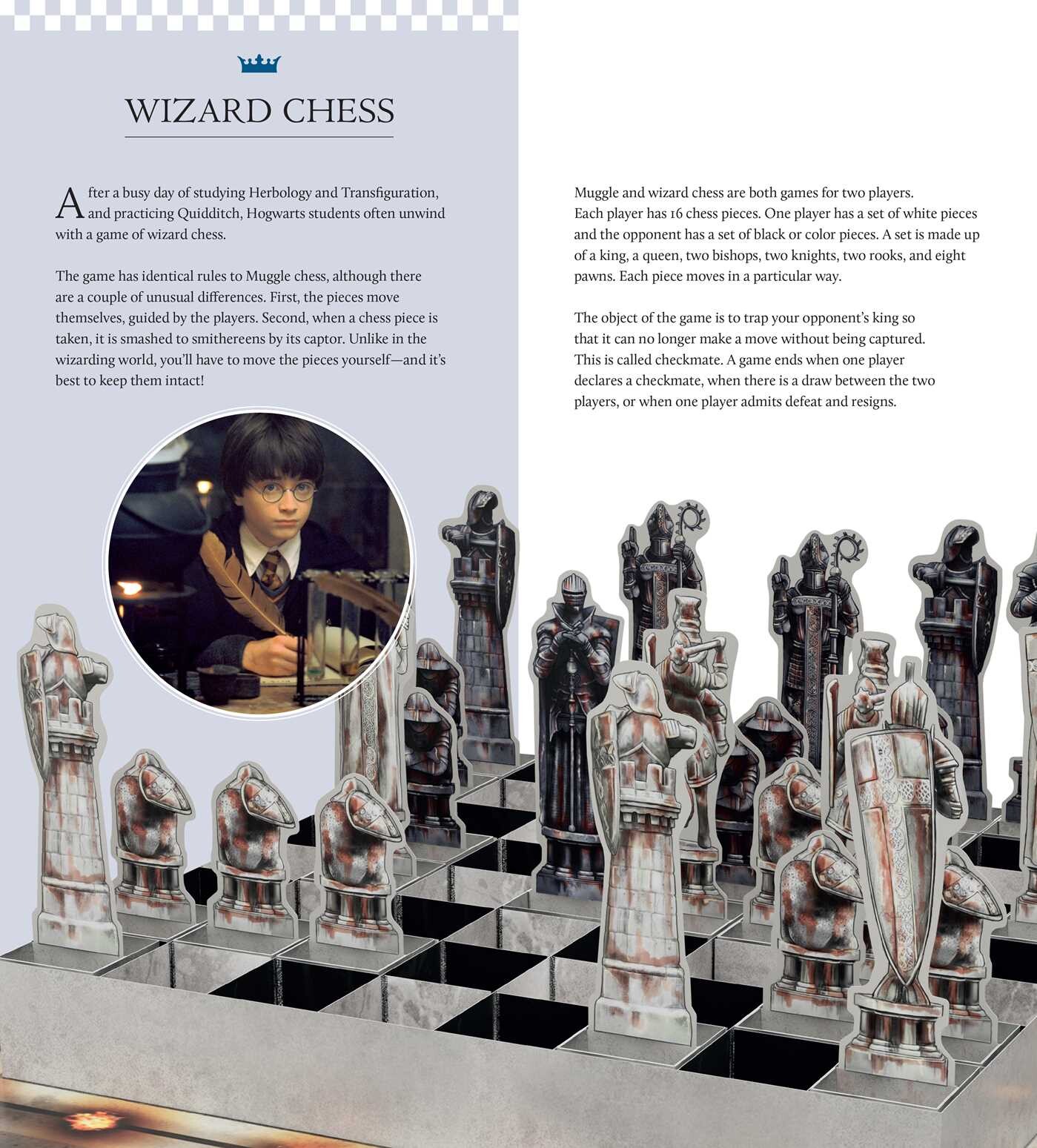 Harry Potter: The Pocket Pop-Up Wizard Chess Set - Book Summary & Video ...