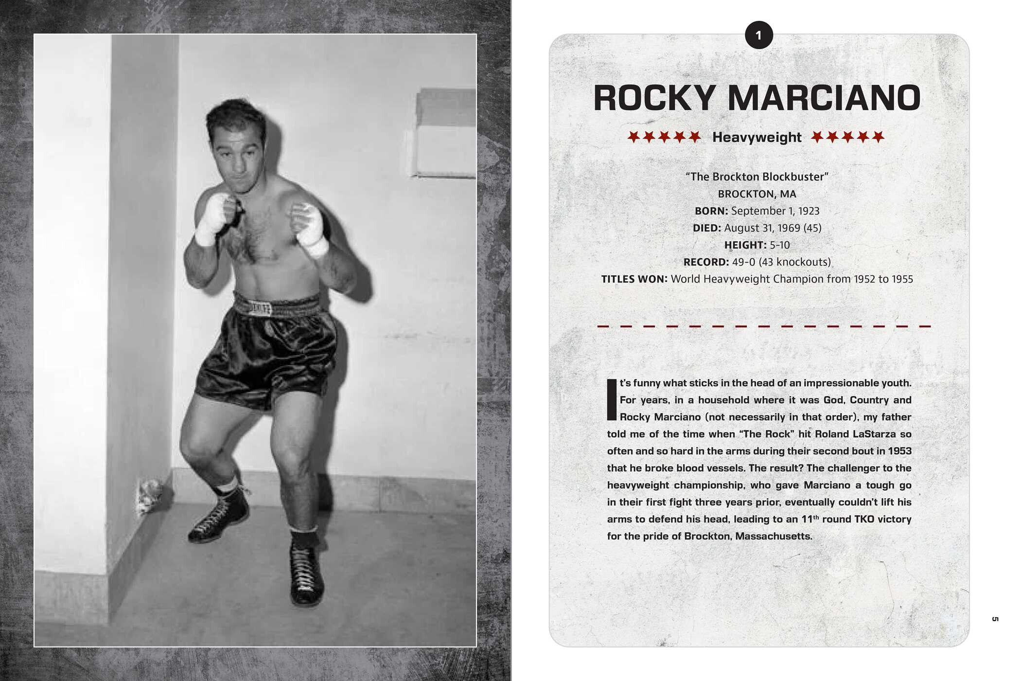 Boxing: The 100 Greatest Fighters | Book by Thomas Gerbasi | Official ...