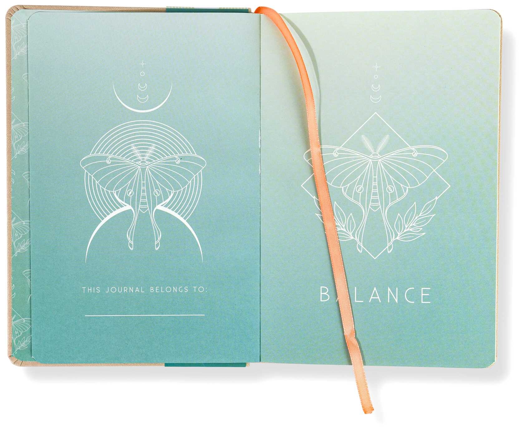 Balance | Book by Insight Editions | Official Publisher Page | Simon ...