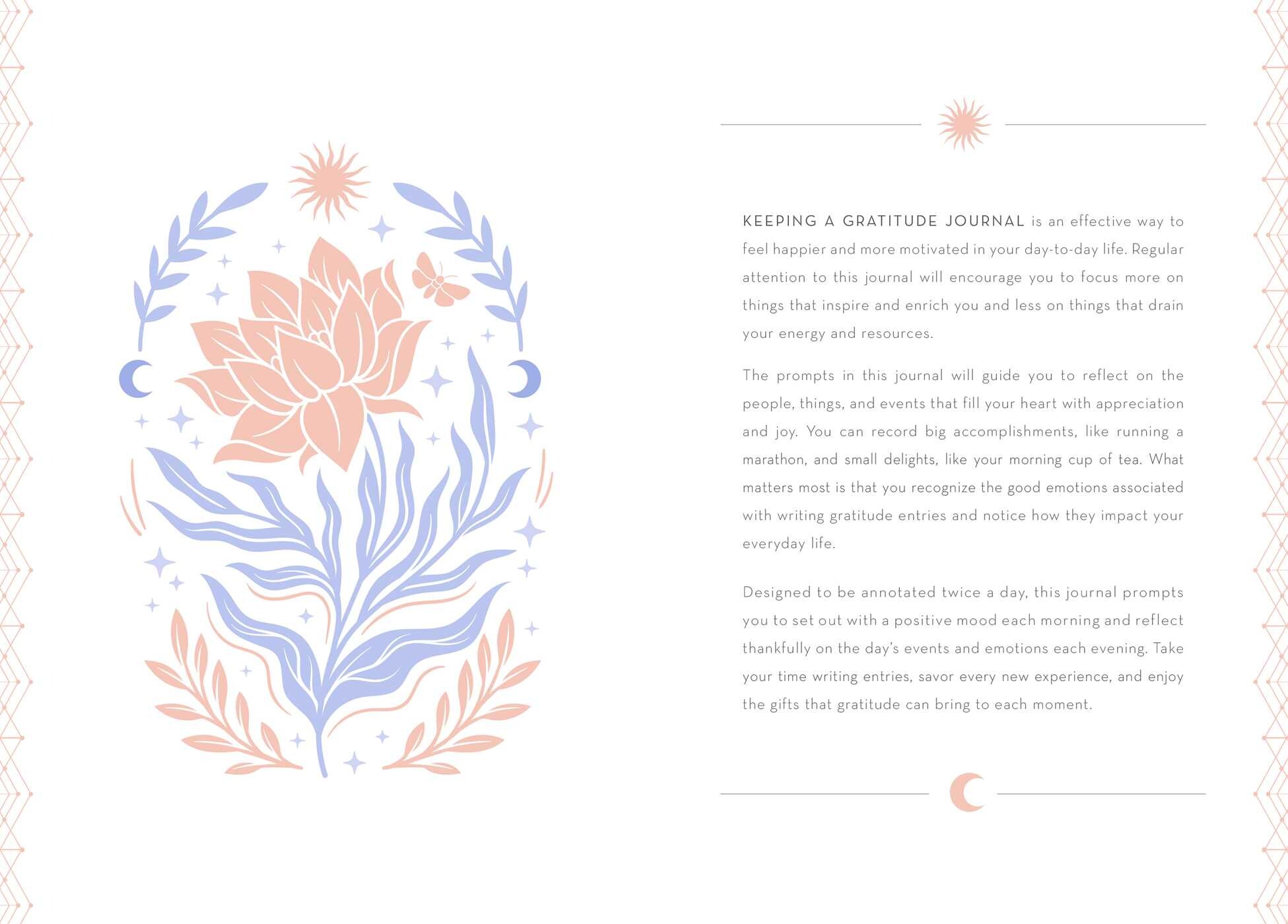 365 Days of Gratitude | Book by Insight Editions | Official Publisher ...