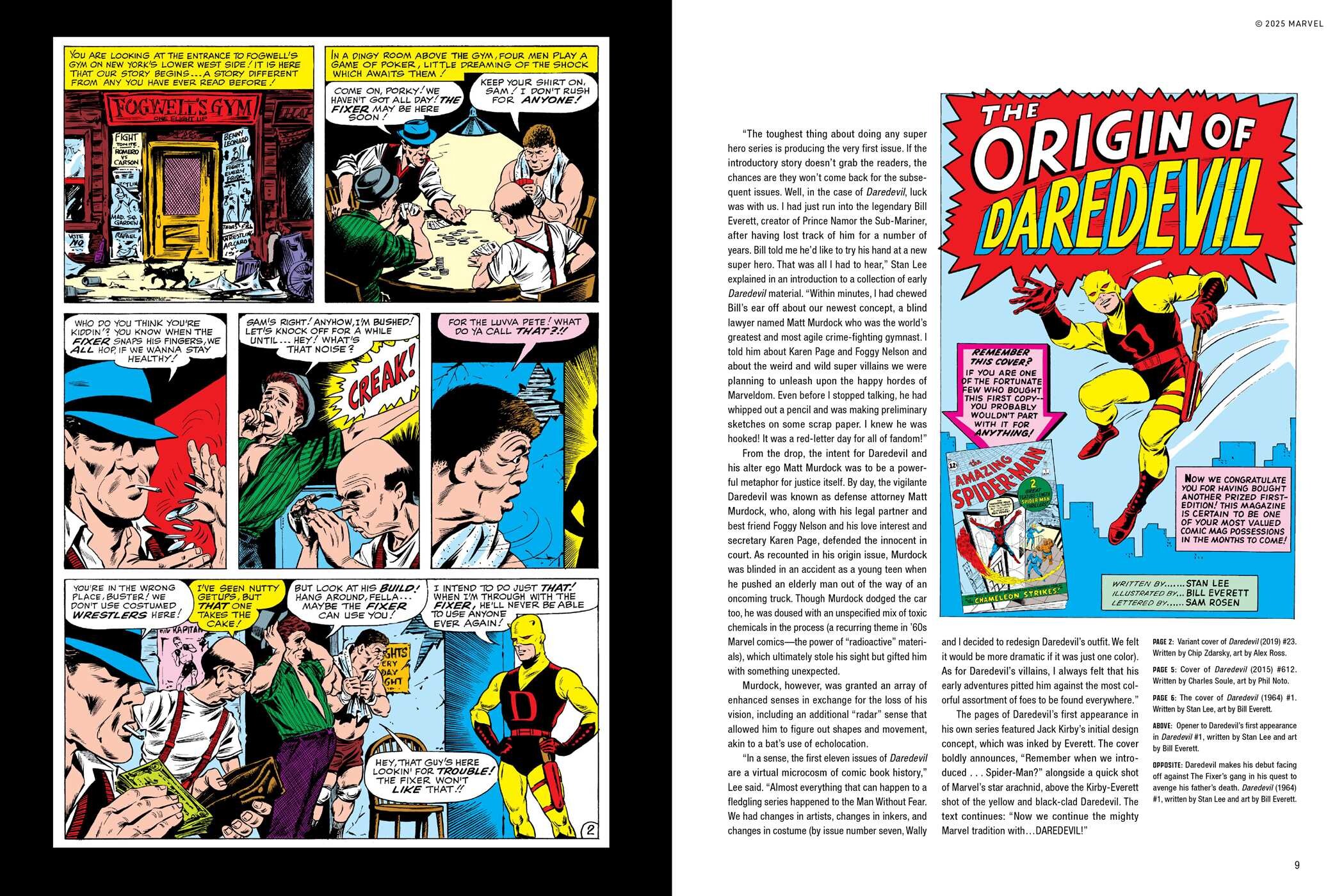 Marvel's Daredevil: The Illustrated History | Book by Alex Segura ...