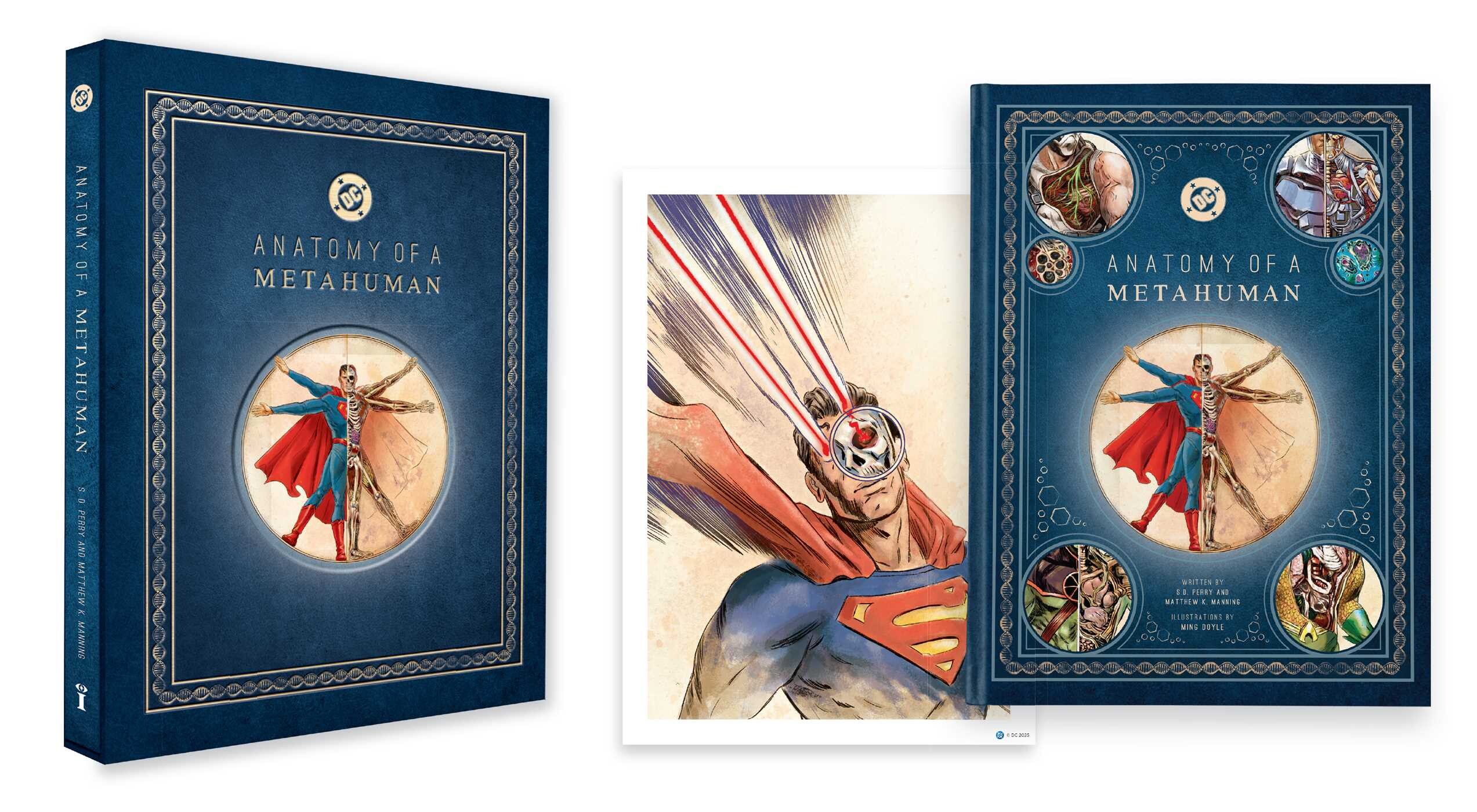 DC Comics: Anatomy of a Metahuman | Book by S.D. Perry, Matthew K ...