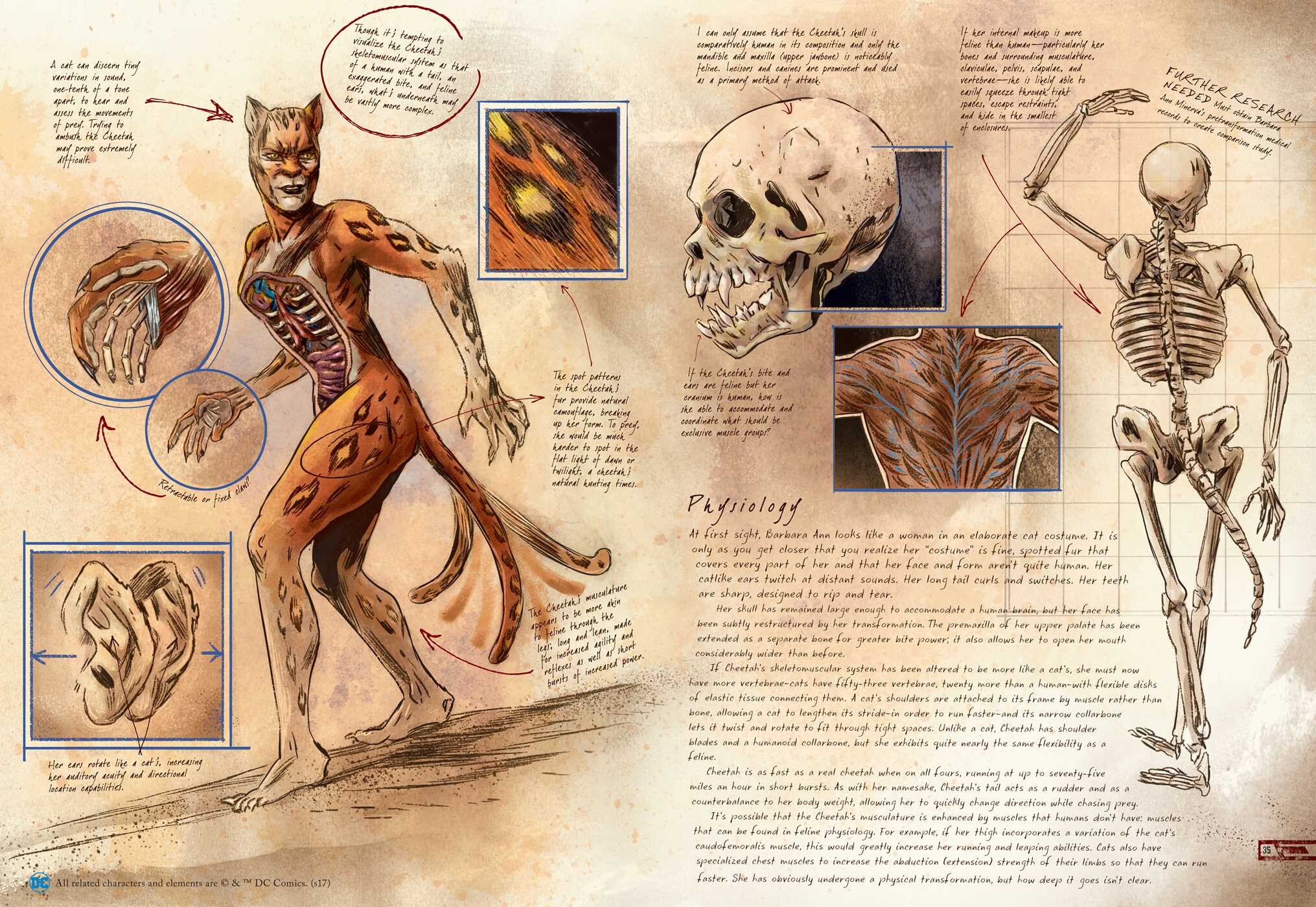 DC Comics: Anatomy of a Metahuman | Book by S.D. Perry, Matthew K ...