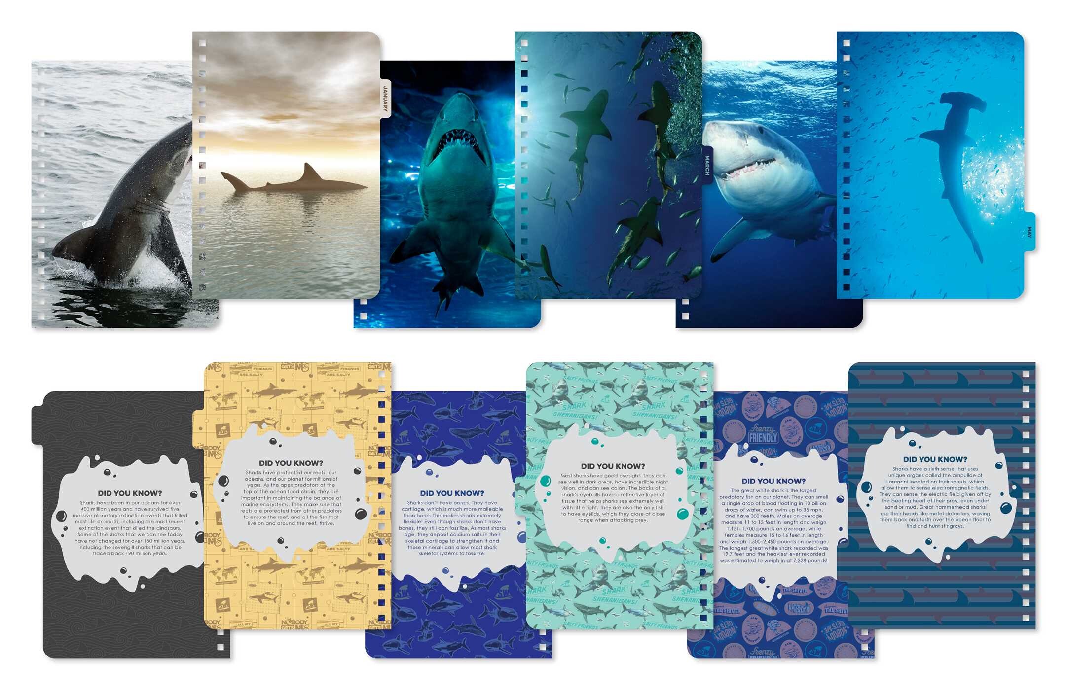 2026 Shark Week 13-Month Weekly Planner | Book by Insight Editions ...