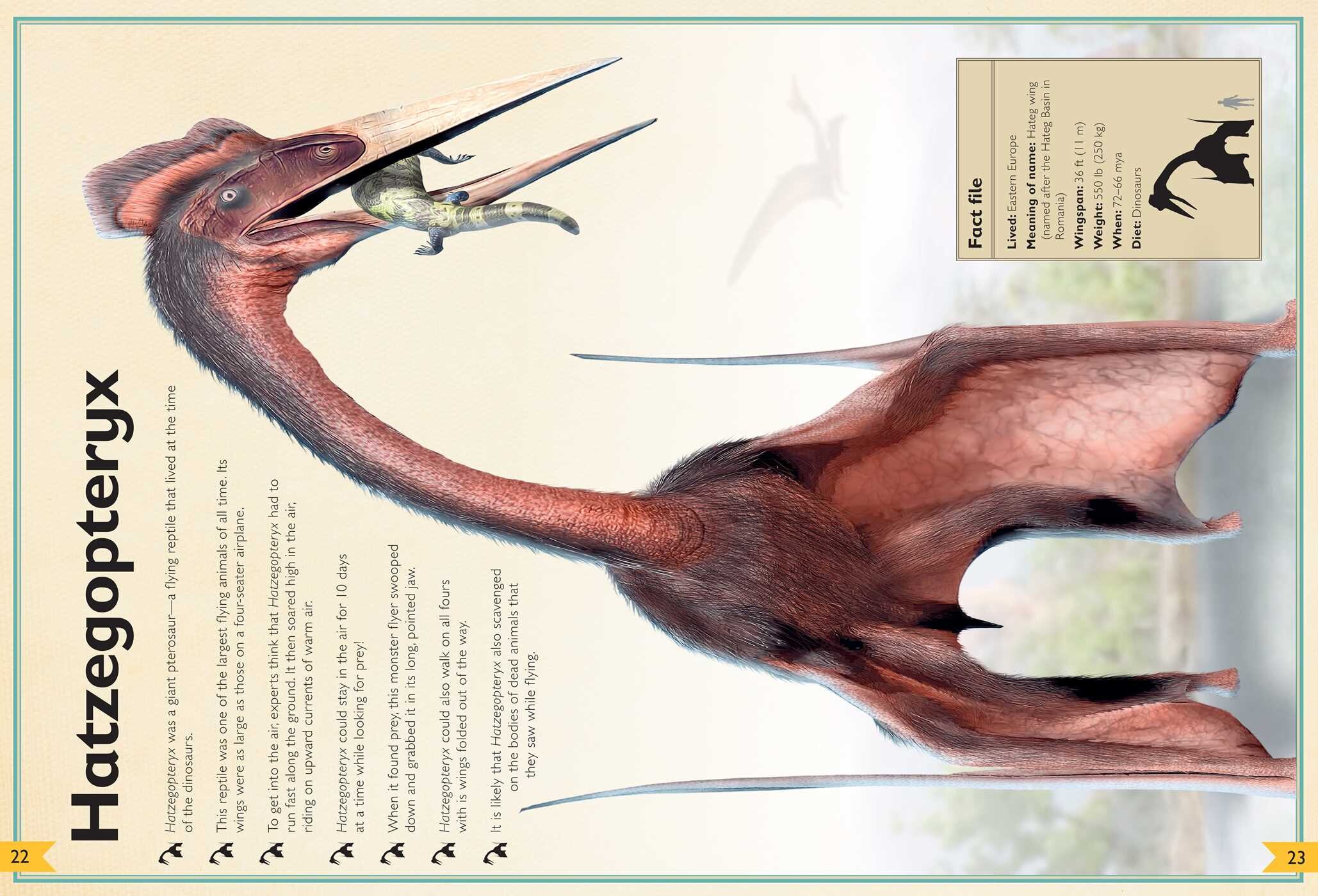 The Magnificent Book of Prehistoric Beasts | Book by Tom Jackson, Val ...