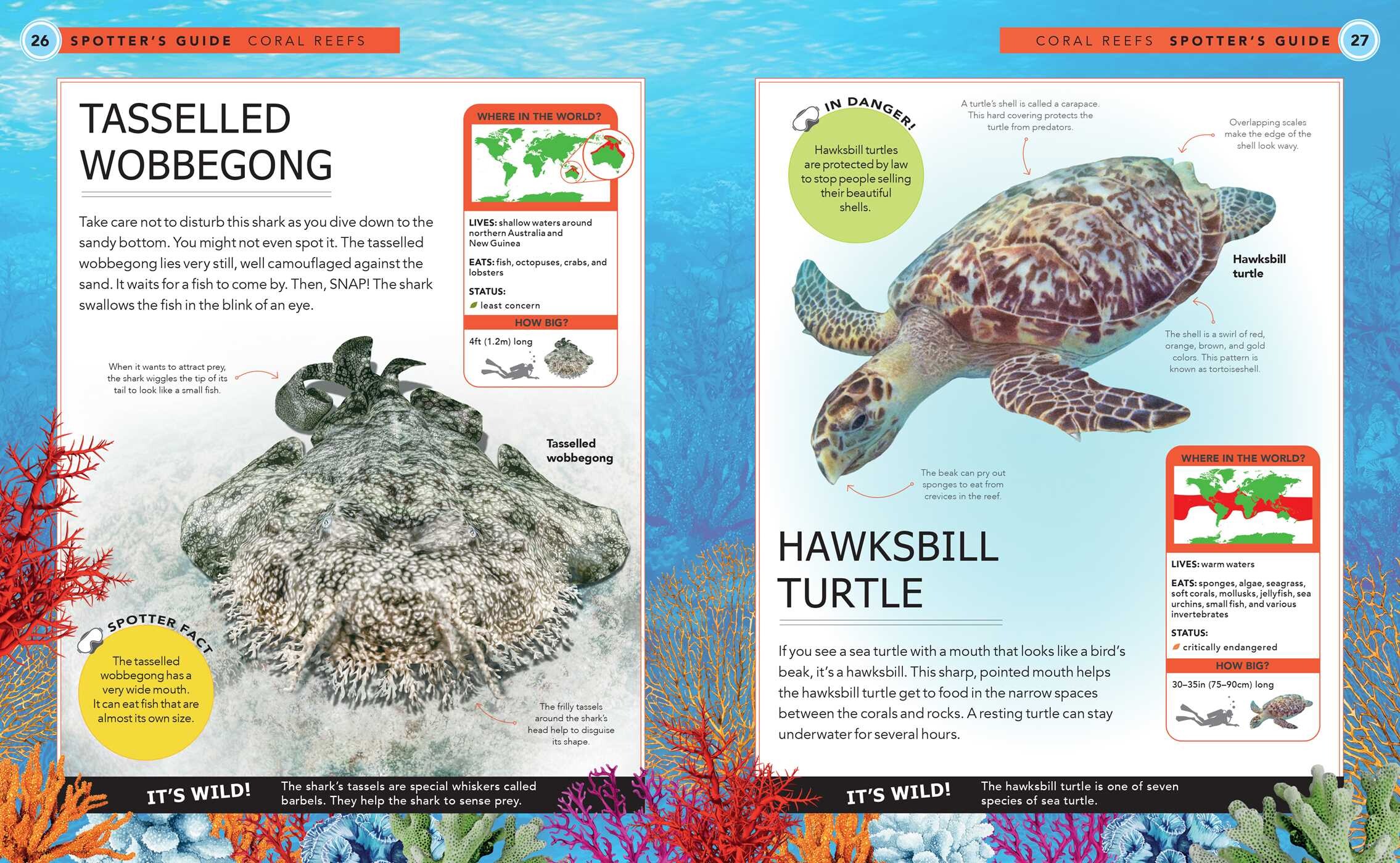 Ocean Creatures | Book by Sabrina Weiss | Official Publisher Page ...